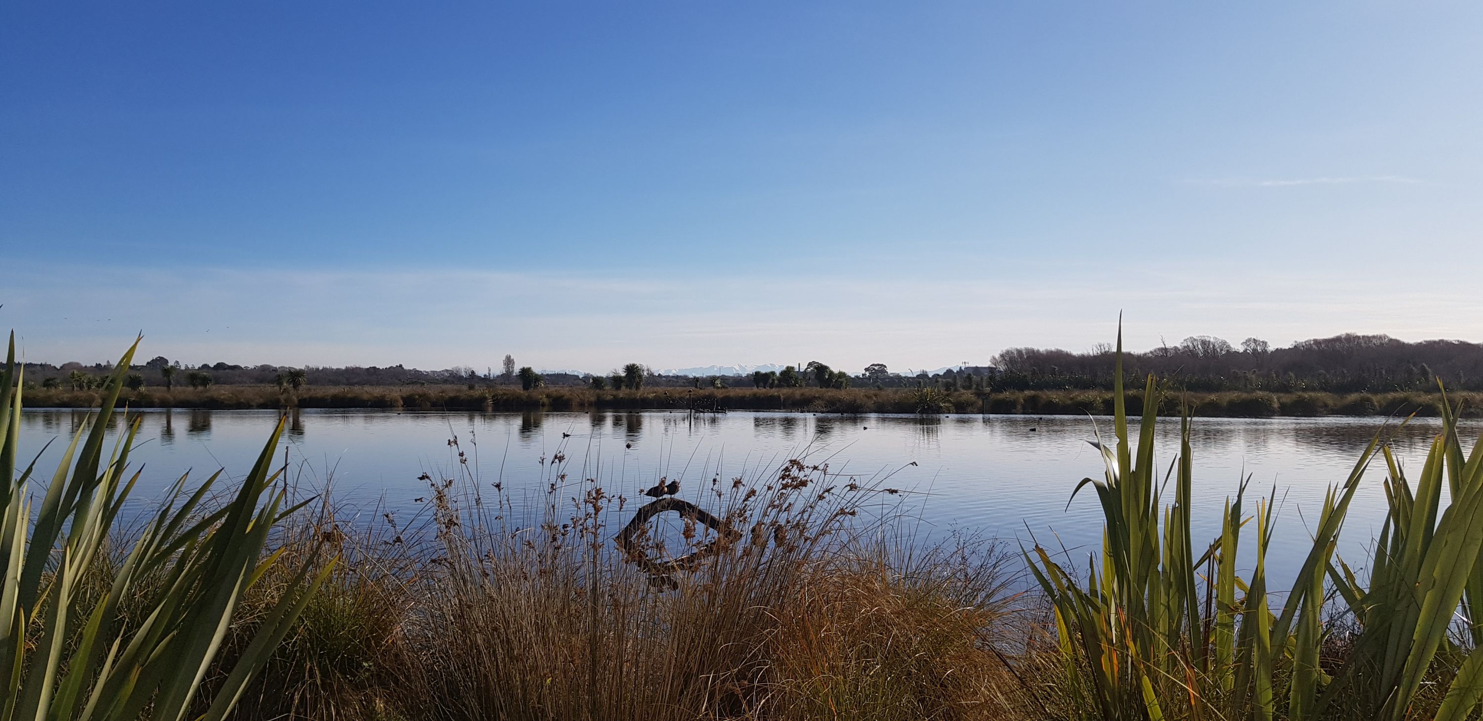 Travis Wetland Loop, Canterbury - Trails Photo Gallery - Wild Things