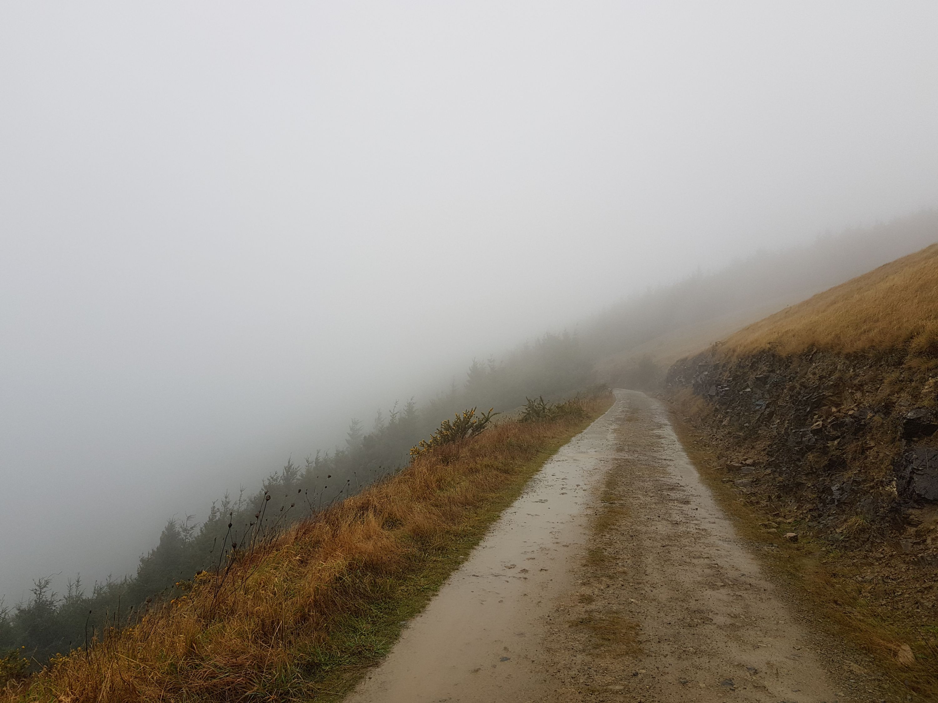 Involution Loop, Nelson - Trails Photo Gallery - Wild Things