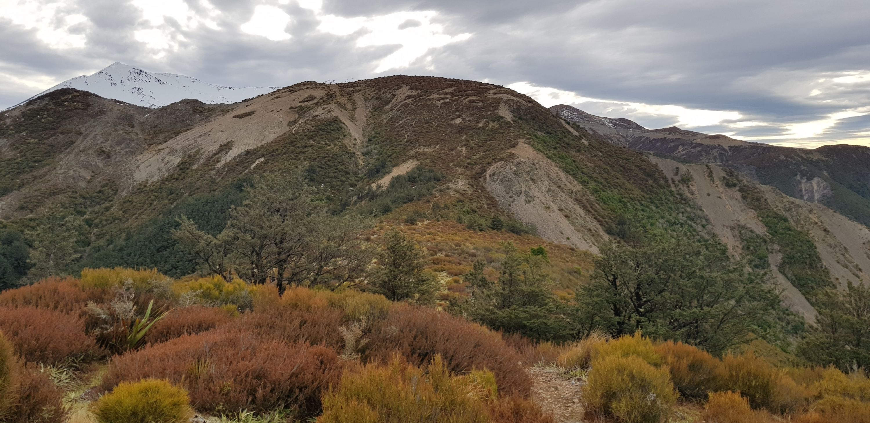 Aamped and Clomped, Canterbury - Trails Photo Gallery - Wild Things