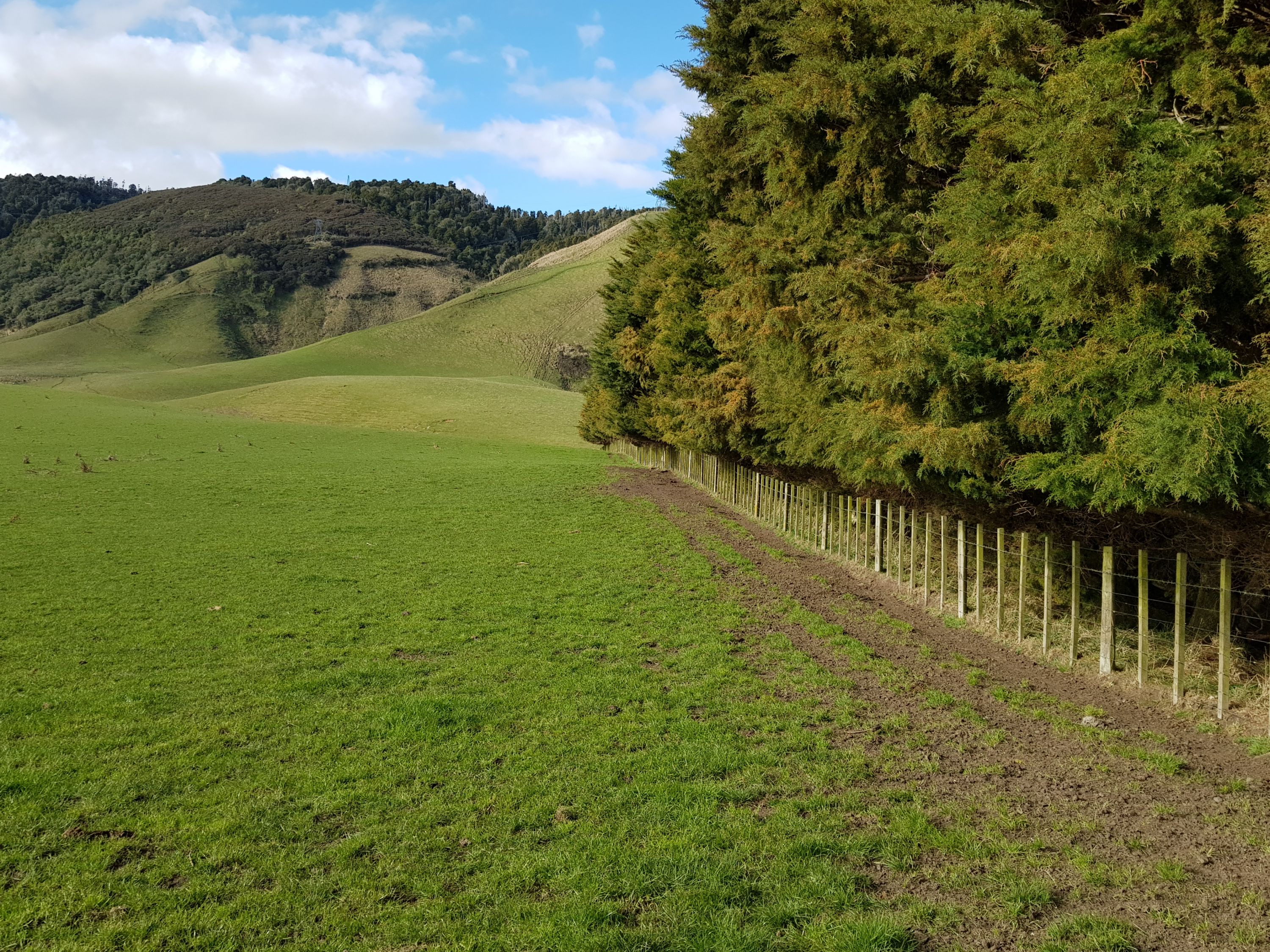 Hihitahi Highpoint, Manawatu - Wanganui - Trails Photo Gallery - Wild ...