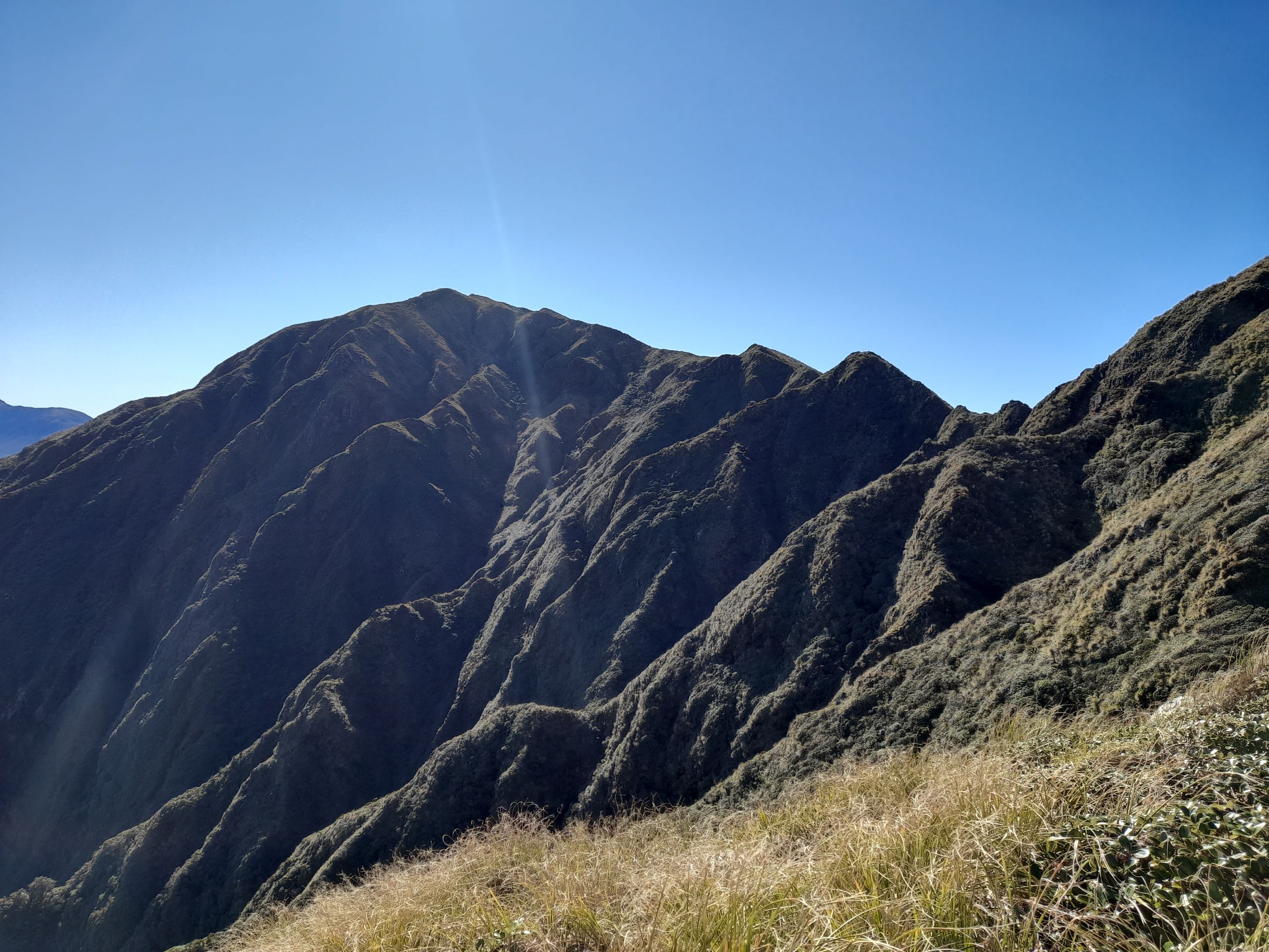 Pakihore Ridge Loop, Wellington - Trails Photo Gallery - Wild Things