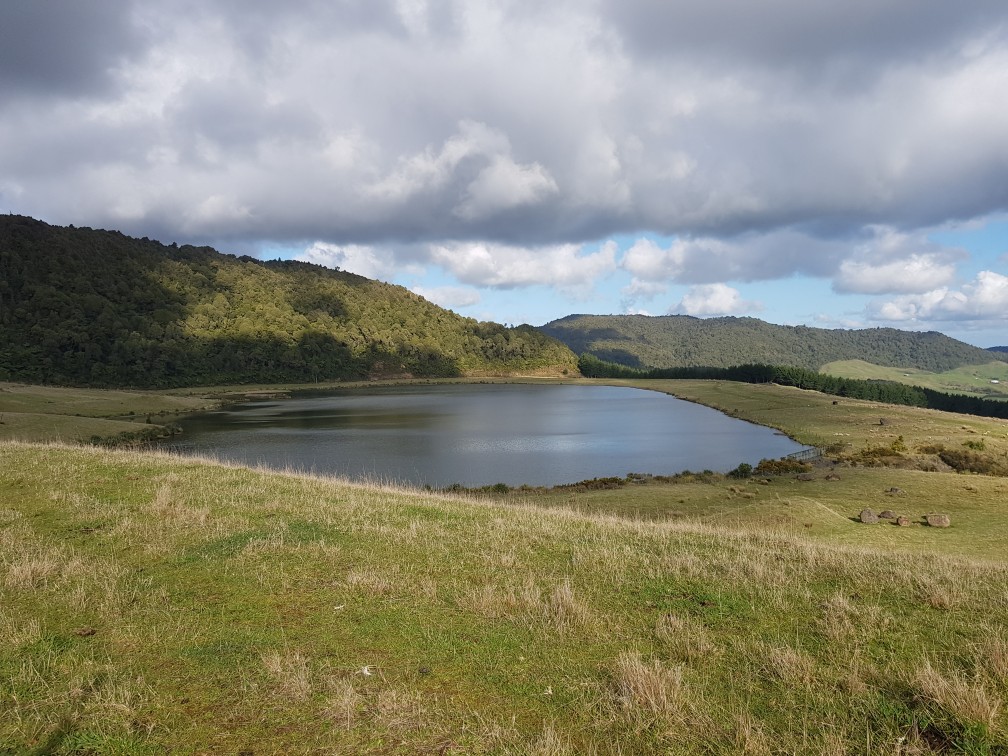Maratoto To Golden Cross, Waikato - Trails Photo Gallery - Wild Things