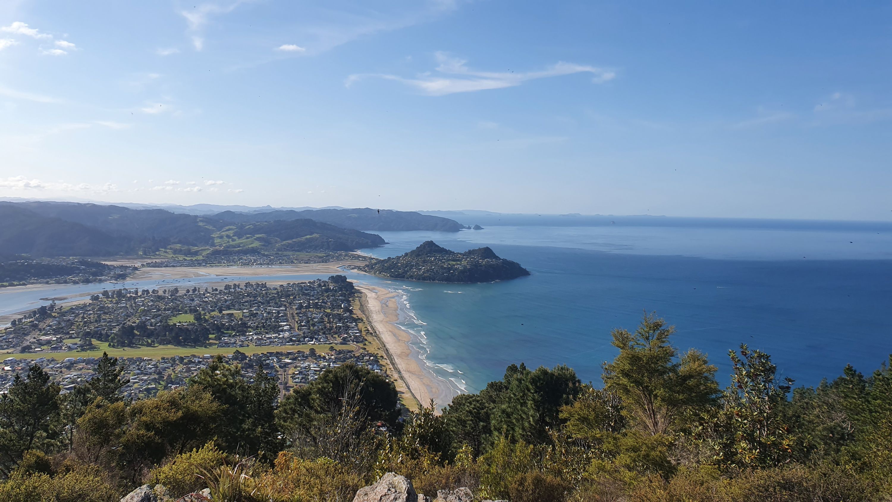 Pauanui Summit Loop, Waikato - Trails Photo Gallery - Wild Things