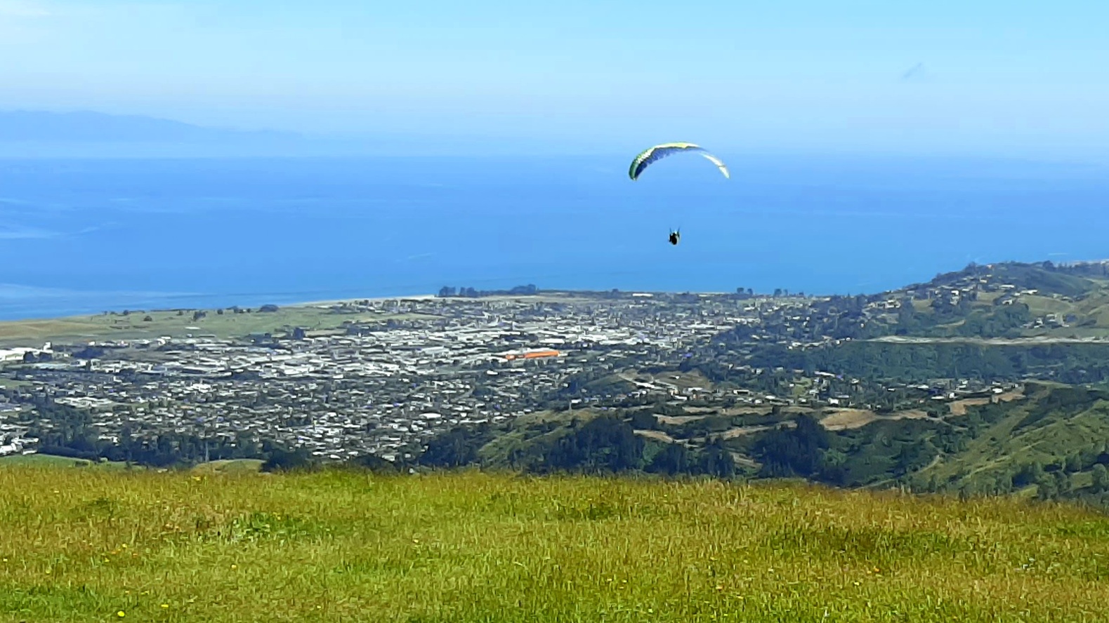 Involution Loop, Nelson - Trails Photo Gallery - Wild Things