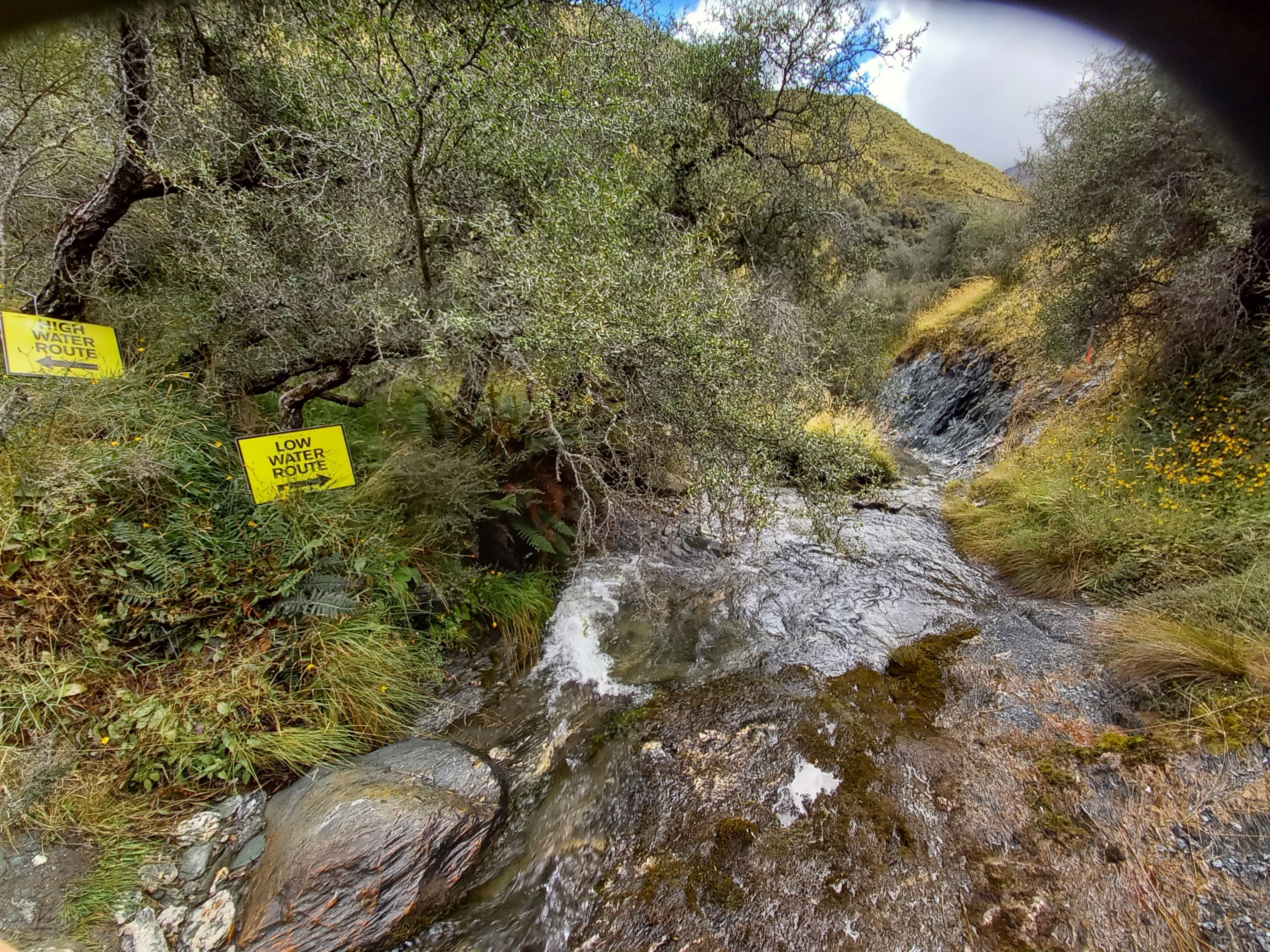 Motatapu Track - Full Monty, Otago - Trails Photo Gallery - Wild Things