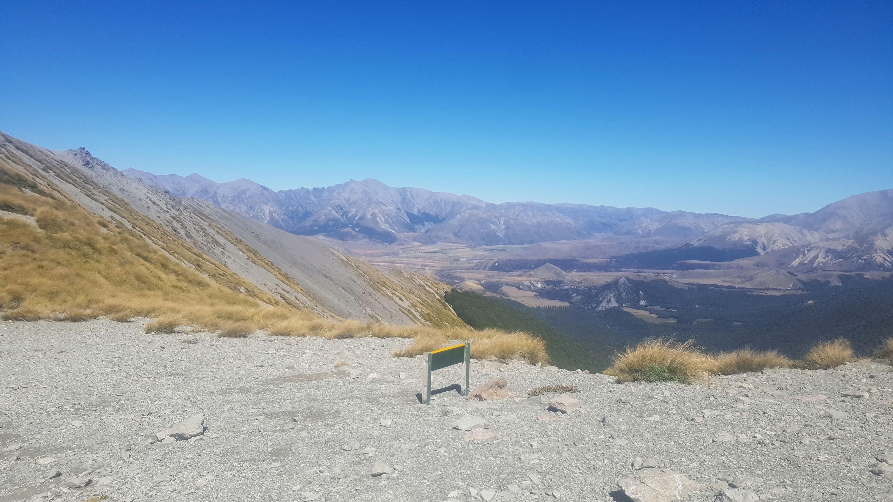 Dracophyllum / Camp Saddle Loop, Canterbury - Trails Photo Gallery ...