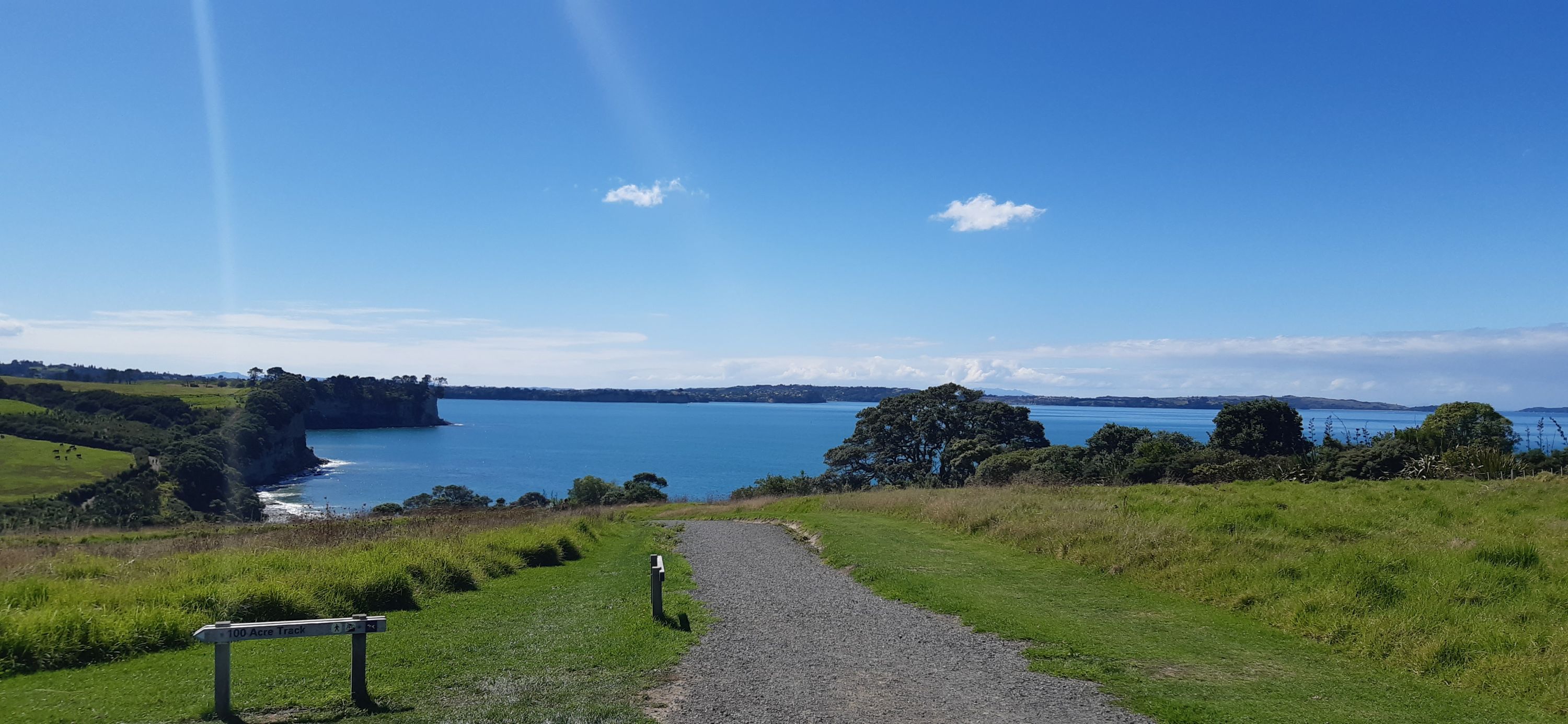Long Bay Beach, Bush & Cliffs, Auckland - Trails Photo Gallery - Wild ...