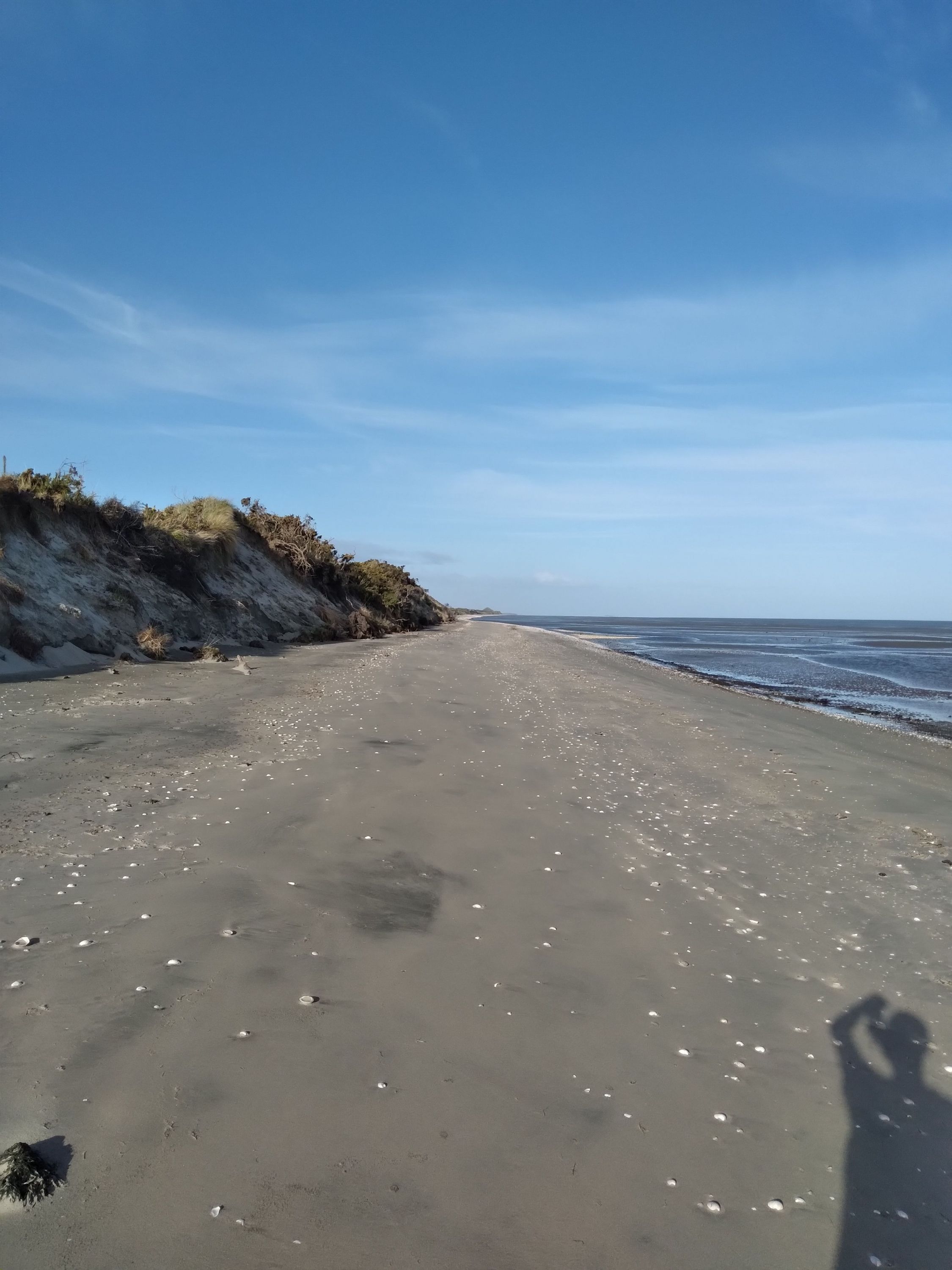 Farewell Spit Loop, Tasman - Trails Photo Gallery - Wild Things