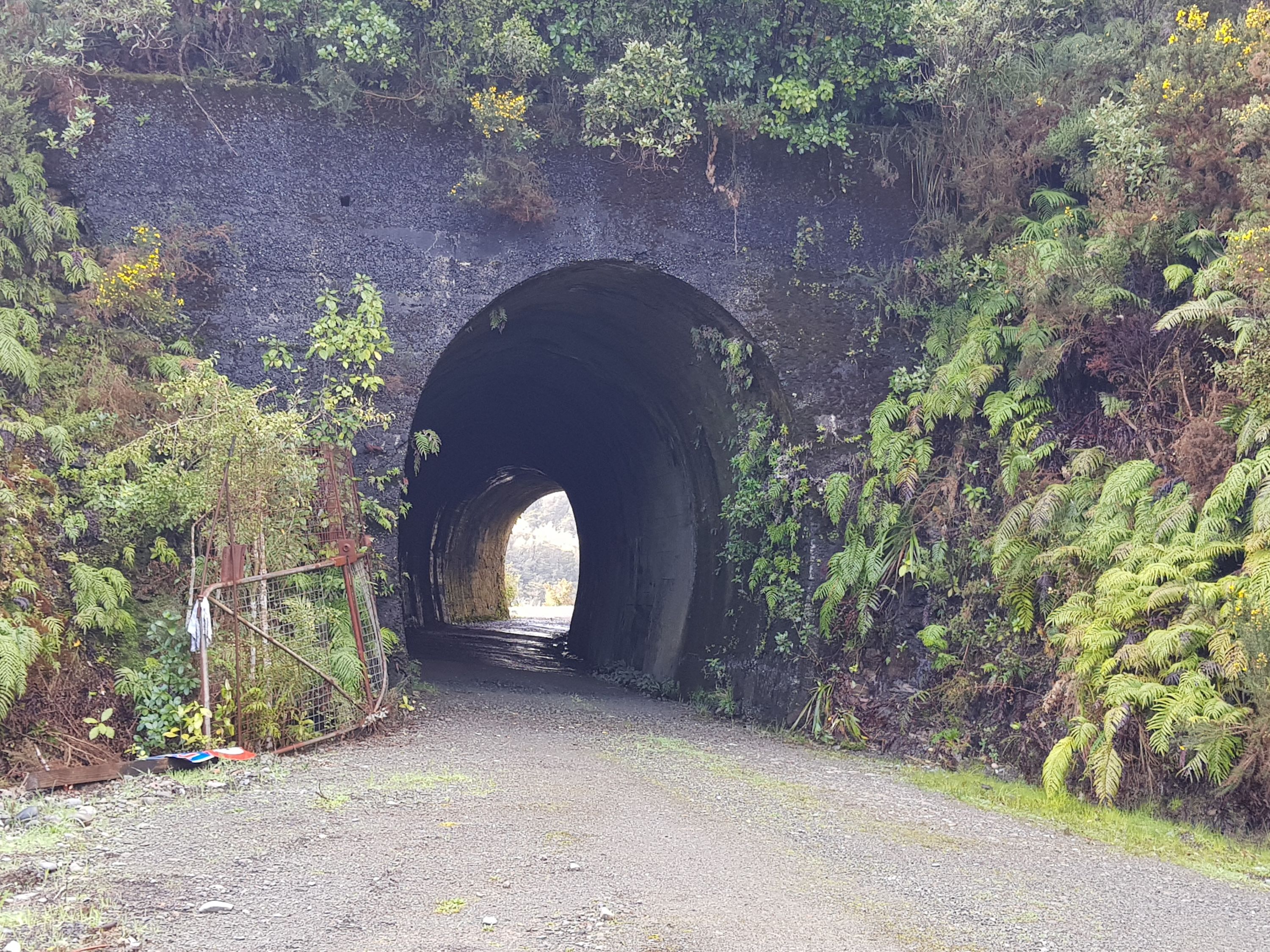 Rewanui, West Coast - Trails Photo Gallery - Wild Things