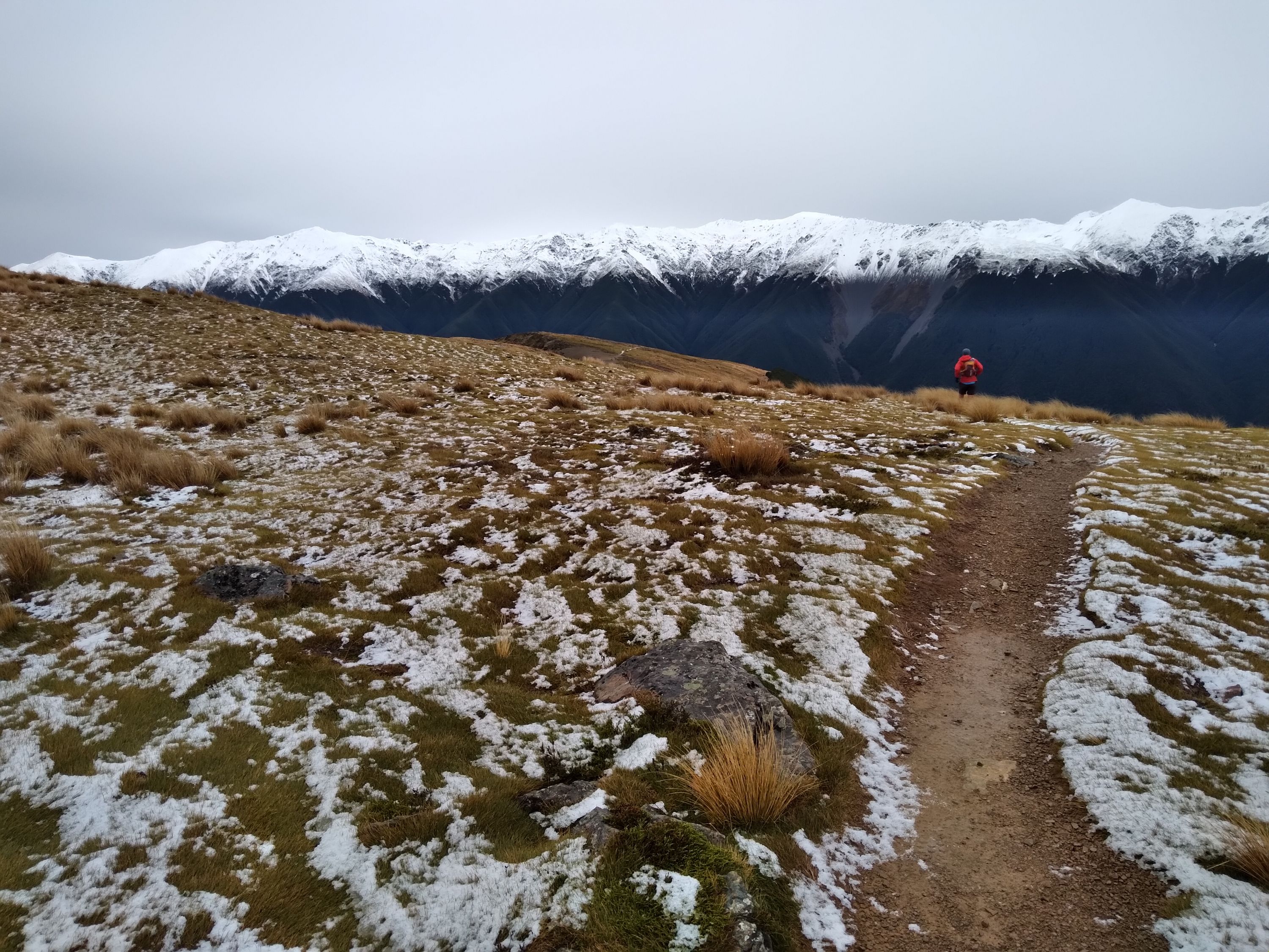 Mt Robert Loop, Tasman - Trails Photo Gallery - Wild Things