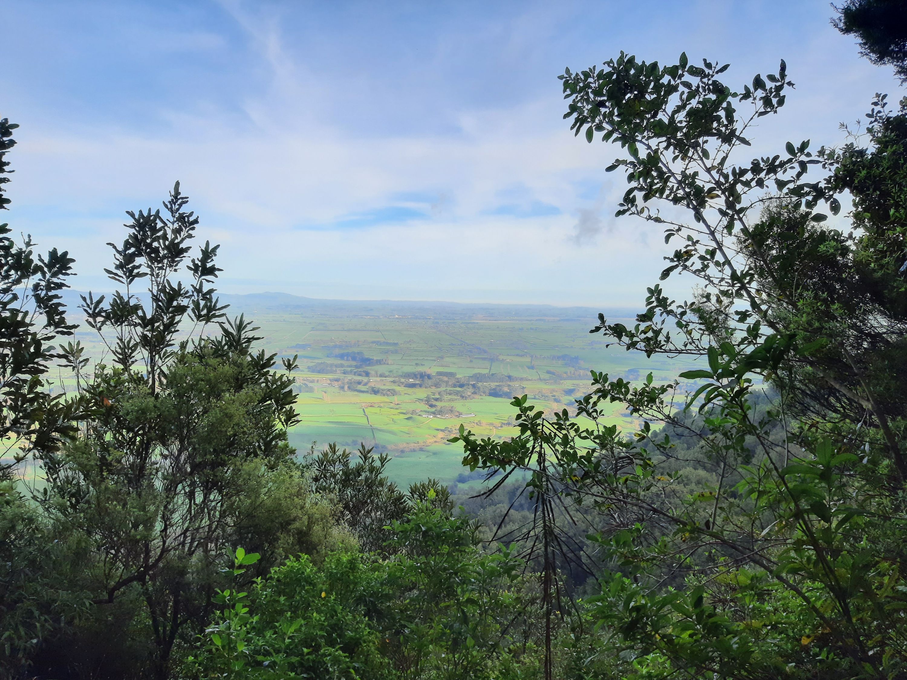 Te Whare Okioki & Mangamuka Huts Loop, Waikato - Trails Photo Gallery - Wild Things