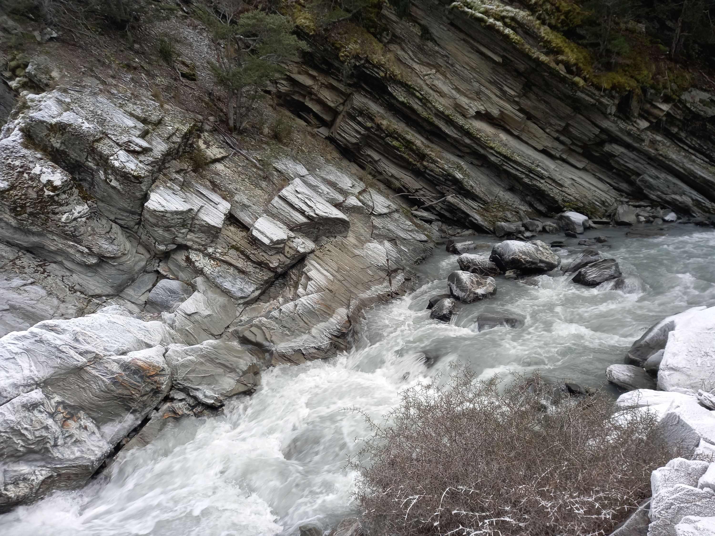 Timaru Creek Loop, Otago - Trails Photo Gallery - Wild Things