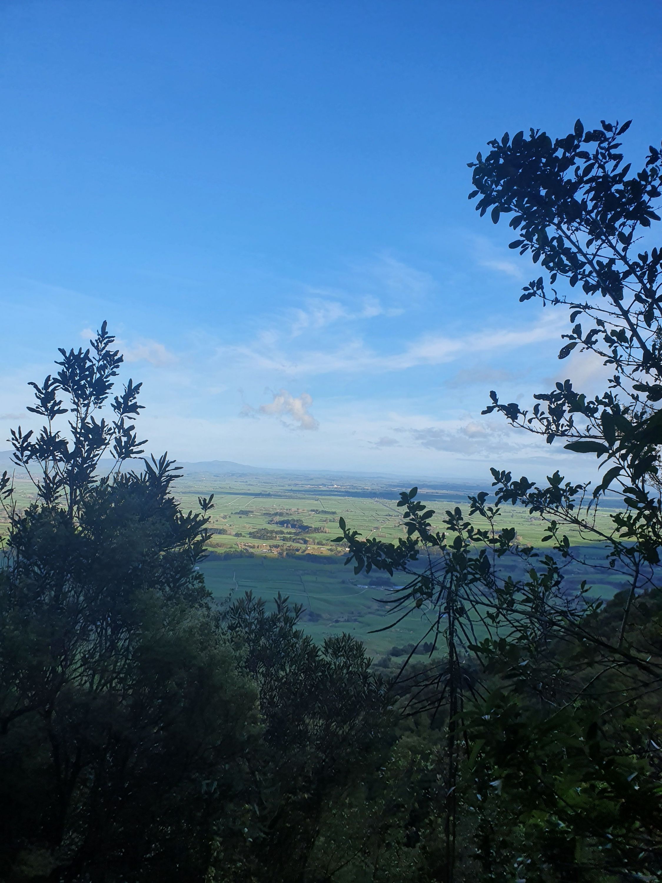 Te Whare Okioki & Mangamuka Huts Loop, Waikato - Trails Photo Gallery - Wild Things