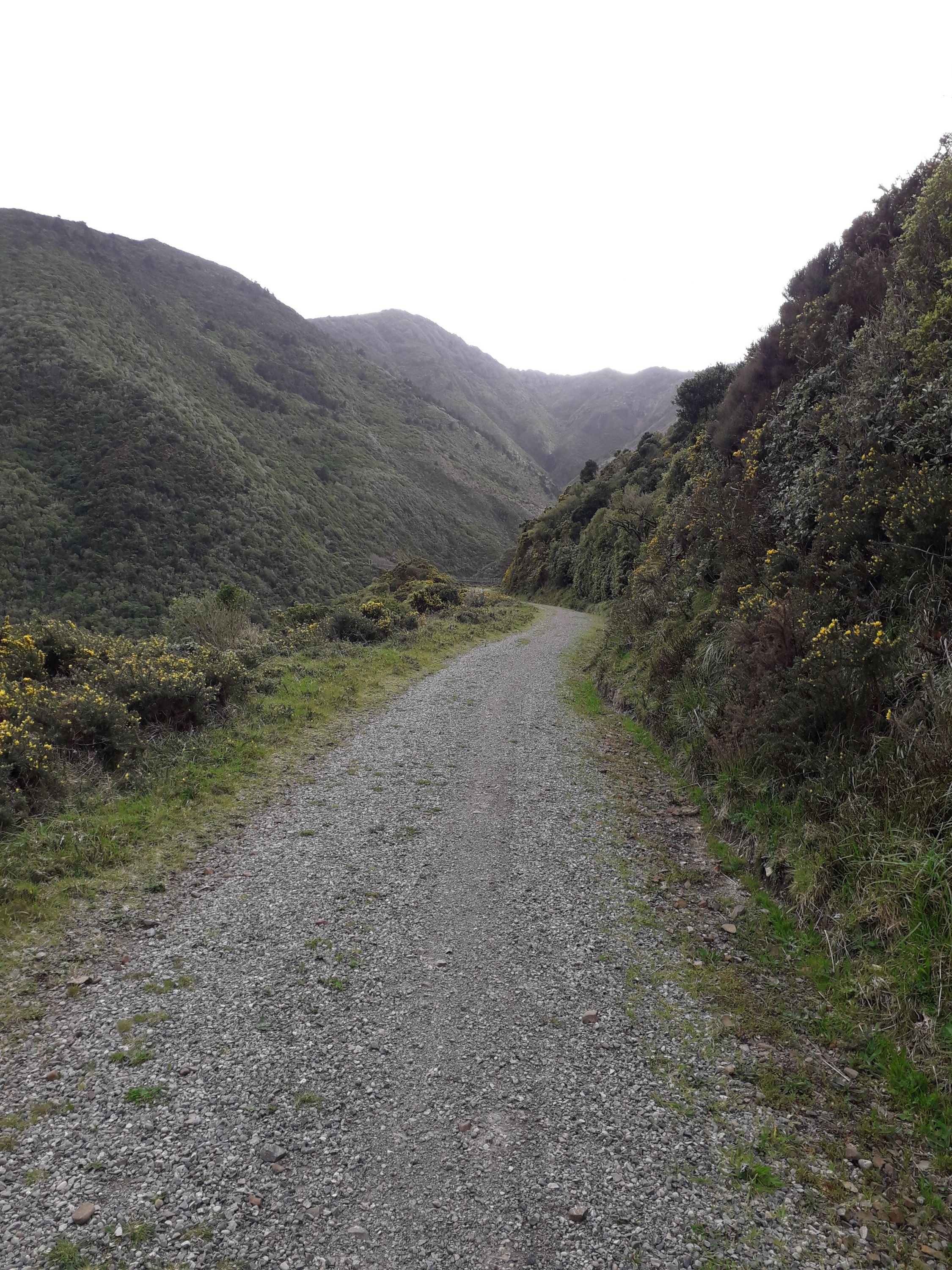 Rimutaka Incline, Wellington - Trails Photo Gallery - Wild Things