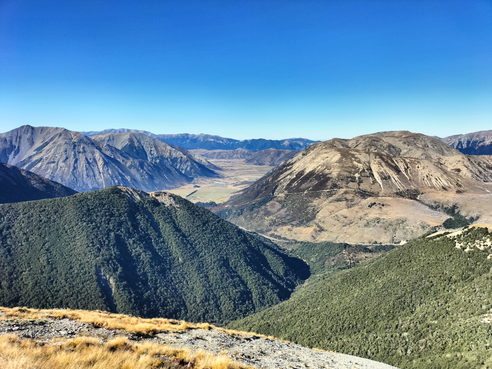 Camp Saddle to Lyndon Saddle Loop, Canterbury - Trails Photo Gallery ...