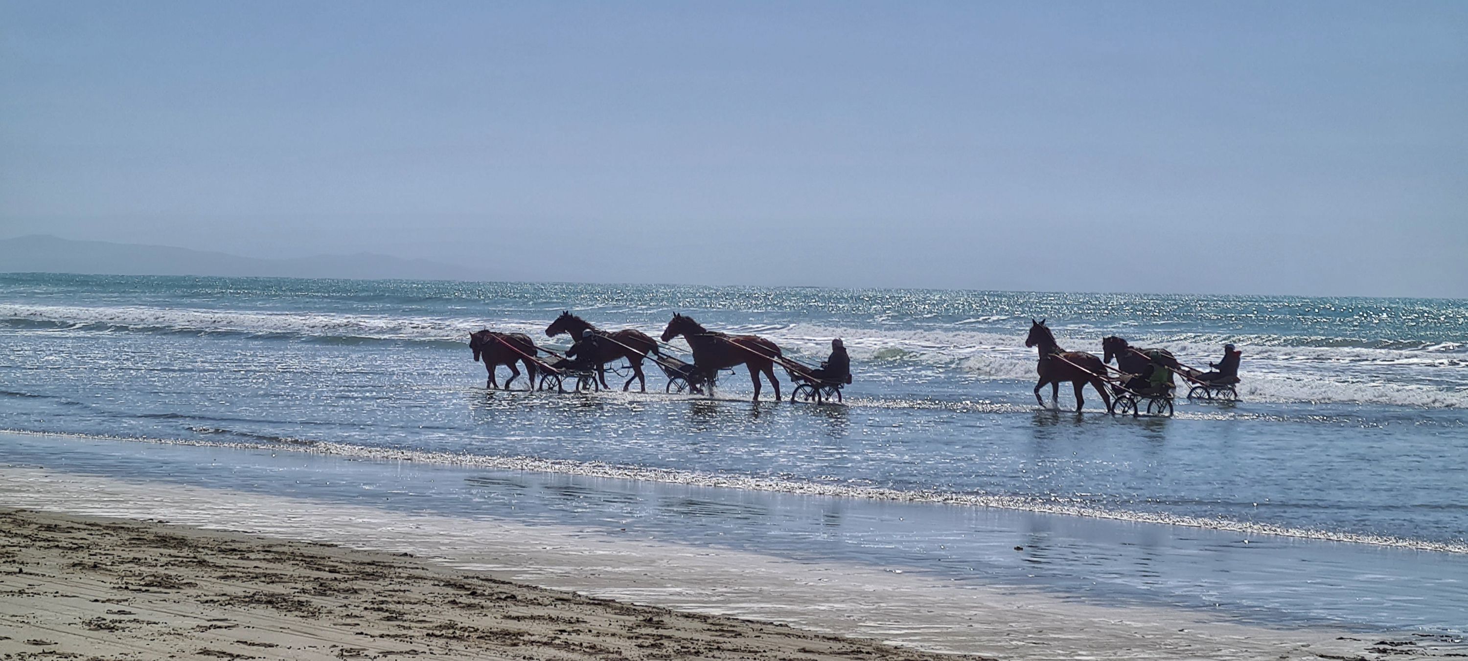 Tutaepatu Woodend Beach Circuit, Canterbury - Trails Photo Gallery ...