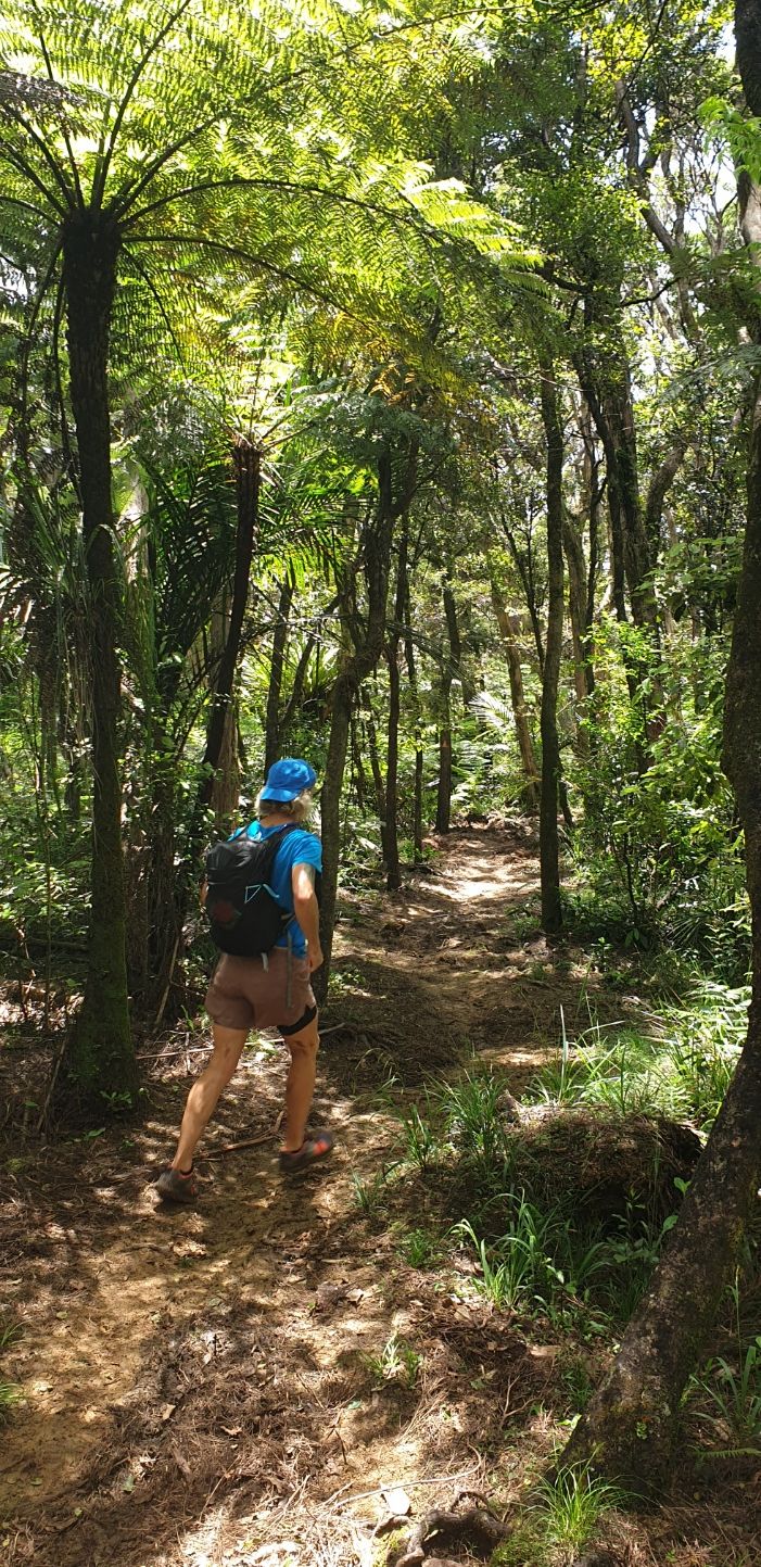 Cape Brett Track, Northland - Trails Photo Gallery - Wild Things