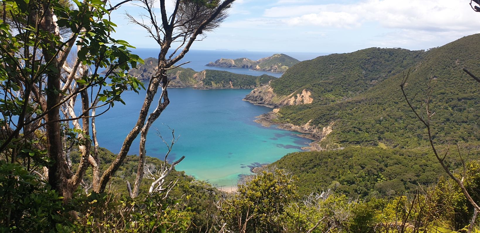 Cape Brett Track, Northland - Trails Photo Gallery - Wild Things