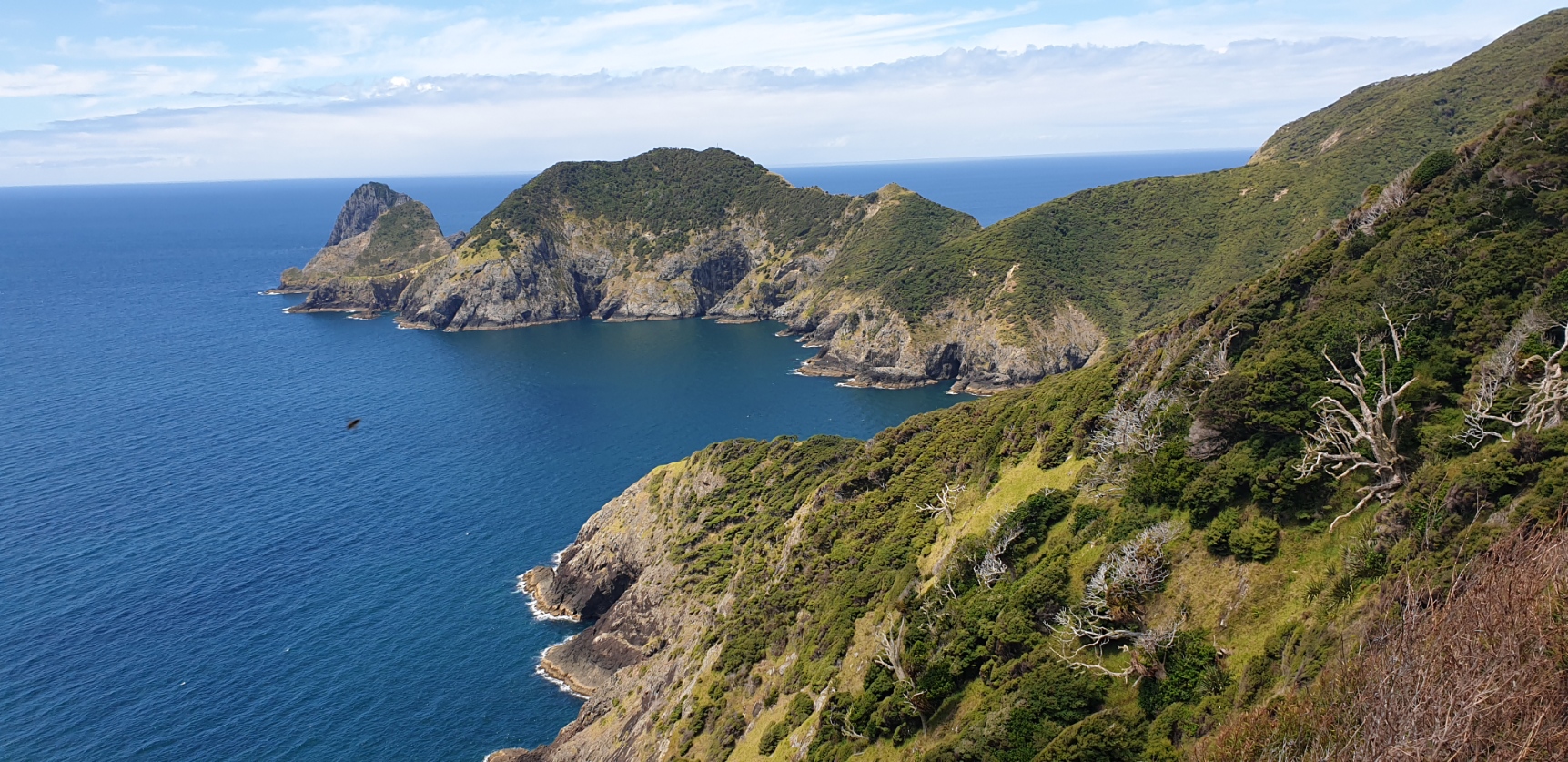 Cape Brett Track, Northland - Trails Photo Gallery - Wild Things