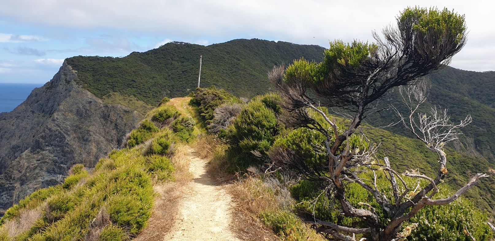 Cape Brett Track, Northland - Trails Photo Gallery - Wild Things