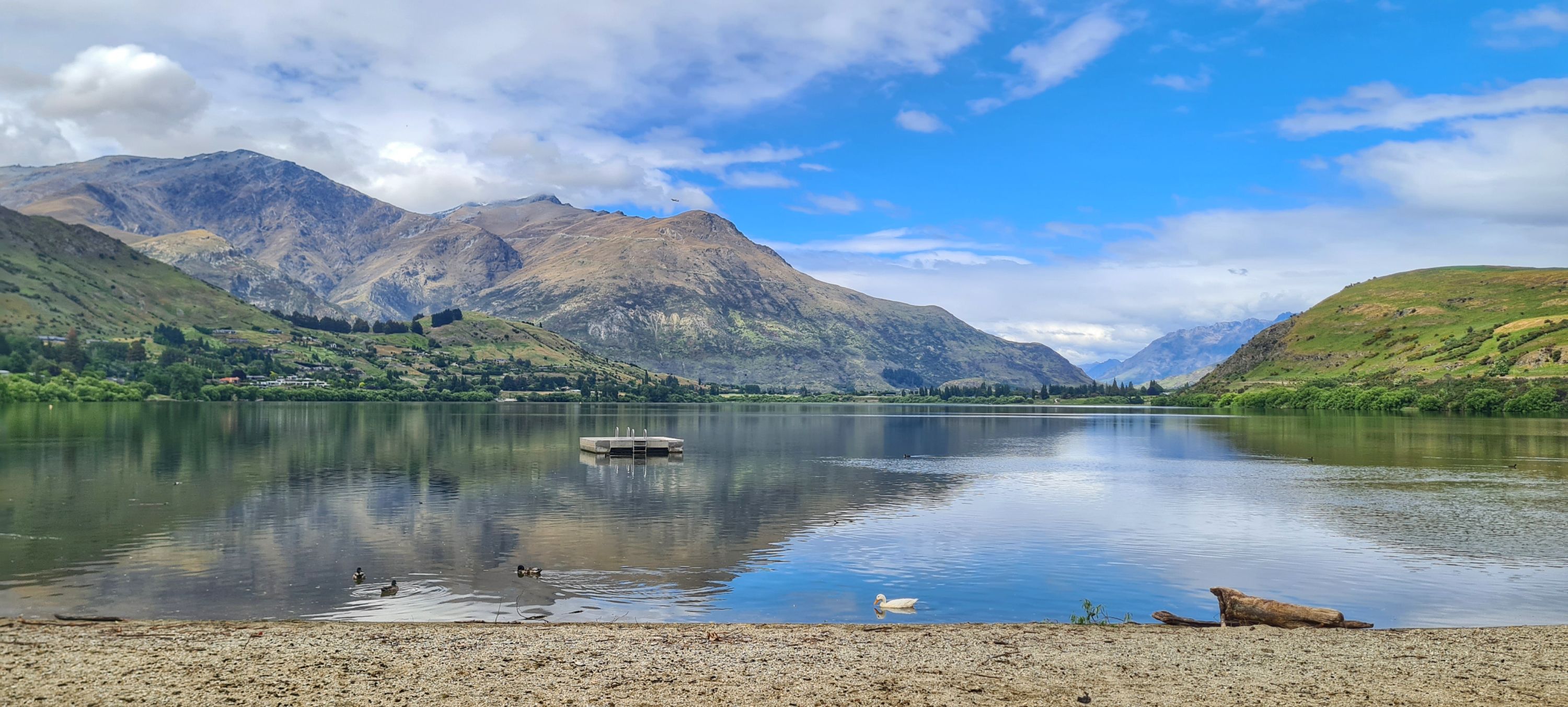 Lake Hayes Circuit, Otago - Trails Photo Gallery - Wild Things
