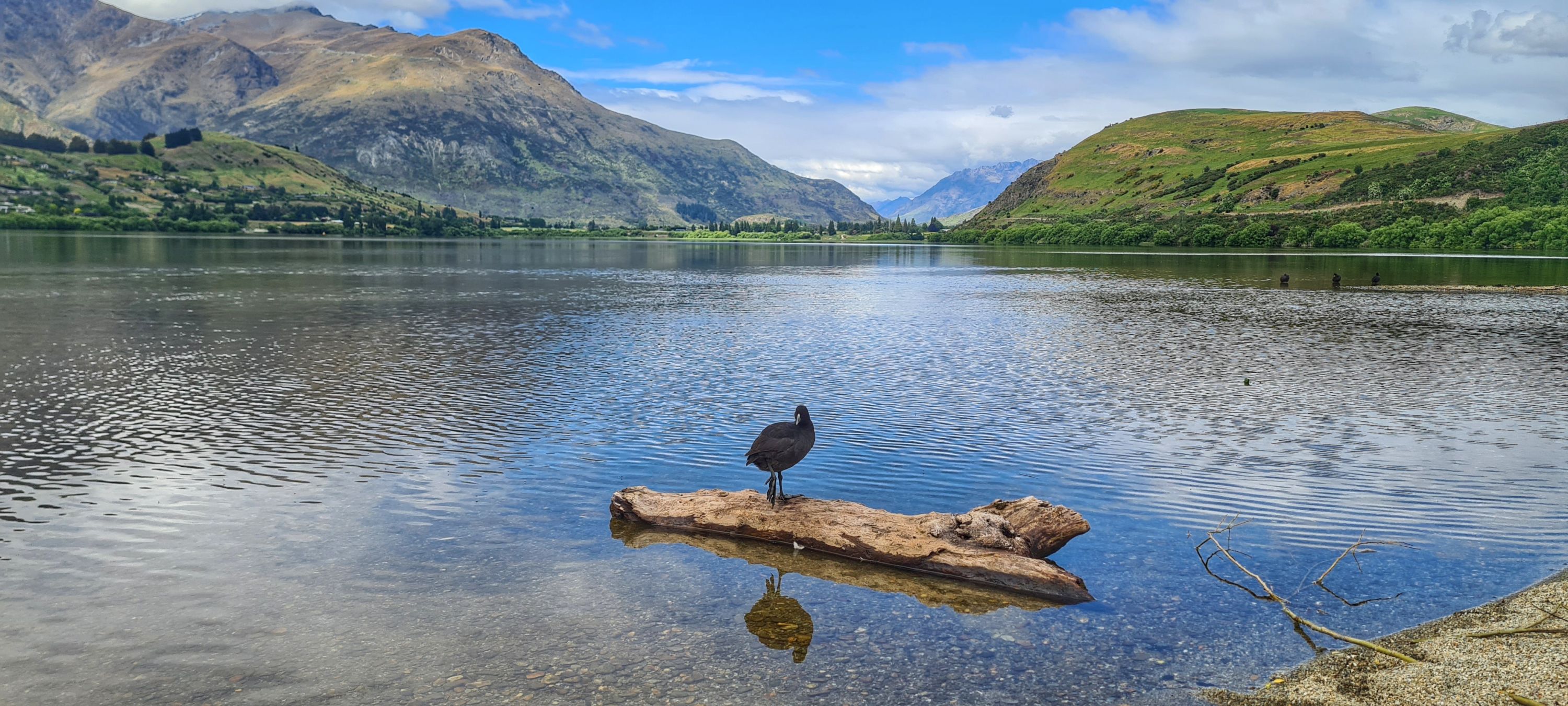 Lake Hayes Circuit, Otago - Trails Photo Gallery - Wild Things