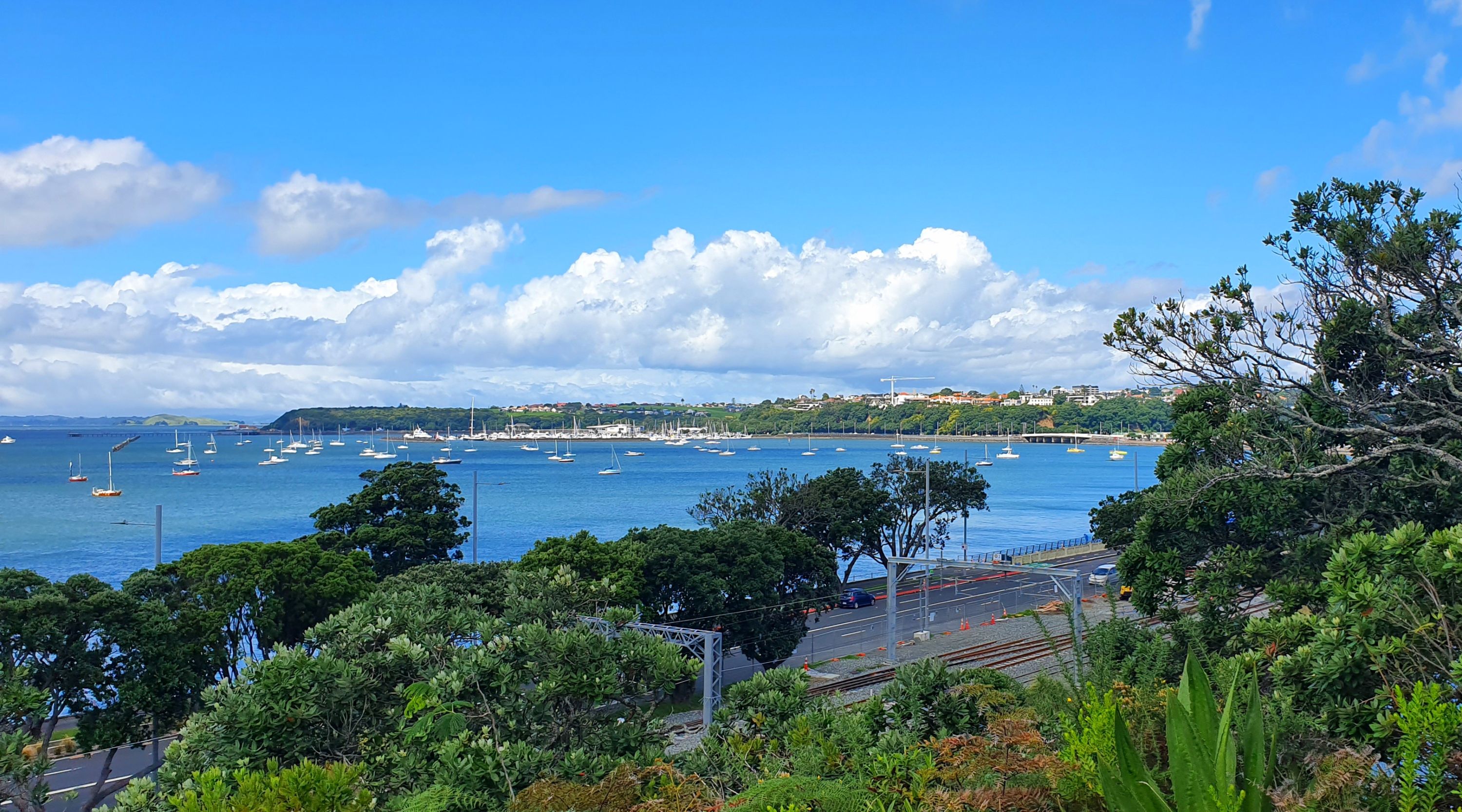 Hobson Bay Loopity, Auckland - Trails Photo Gallery - Wild Things