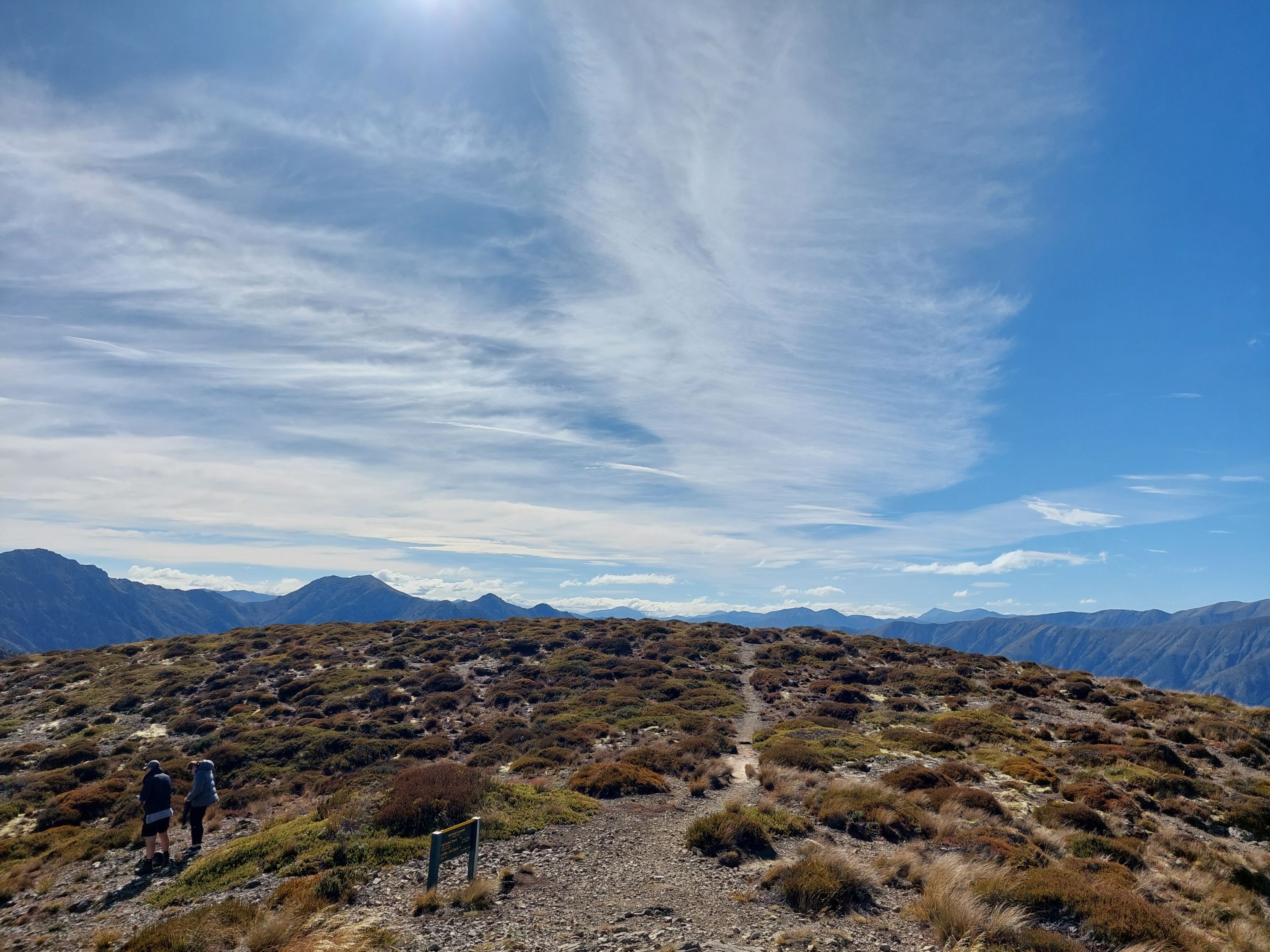 Mt Isobel , Canterbury - Trails Photo Gallery - Wild Things