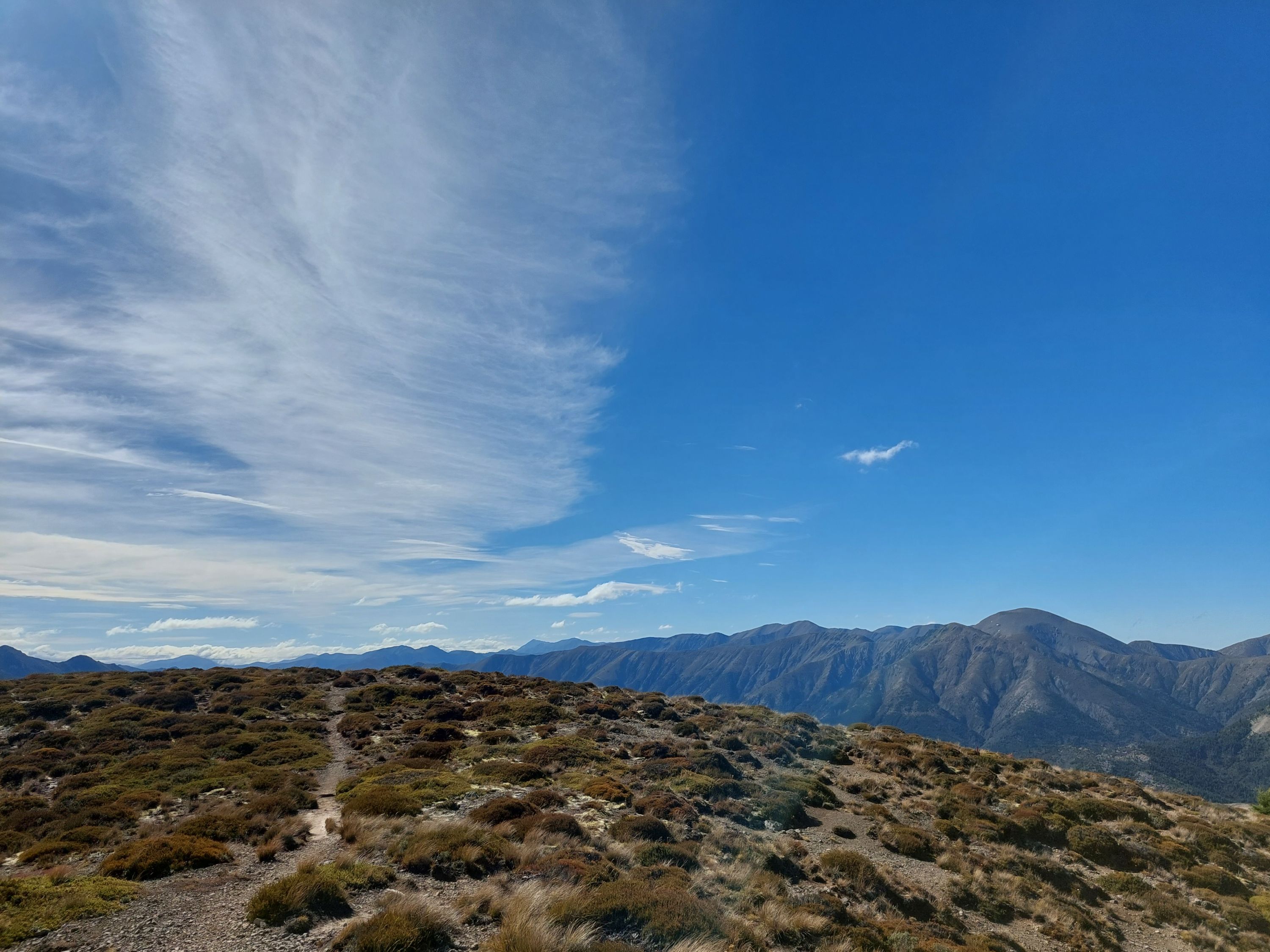 Mt Isobel , Canterbury - Trails Photo Gallery - Wild Things