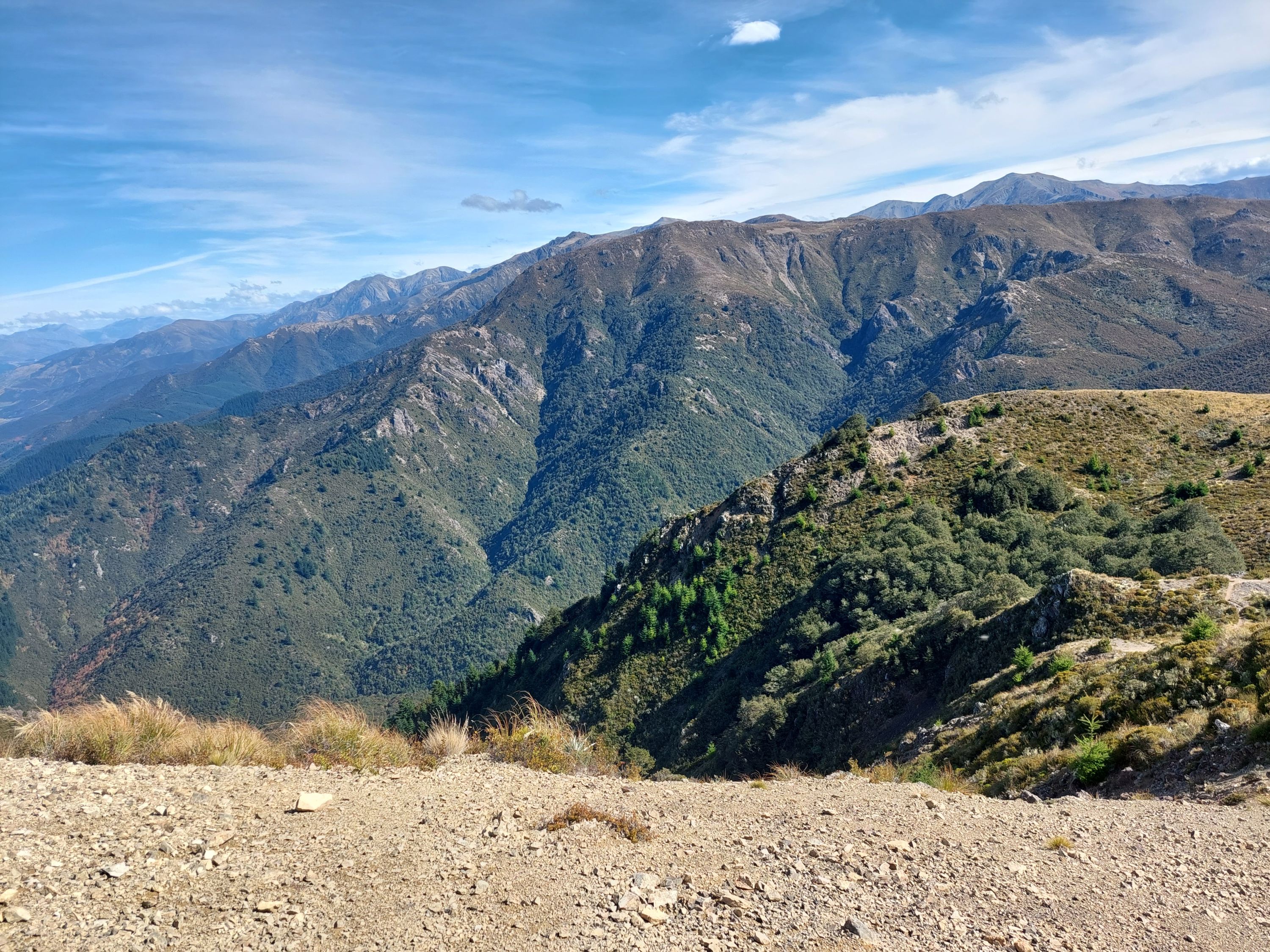 Mt Isobel , Canterbury - Trails Photo Gallery - Wild Things