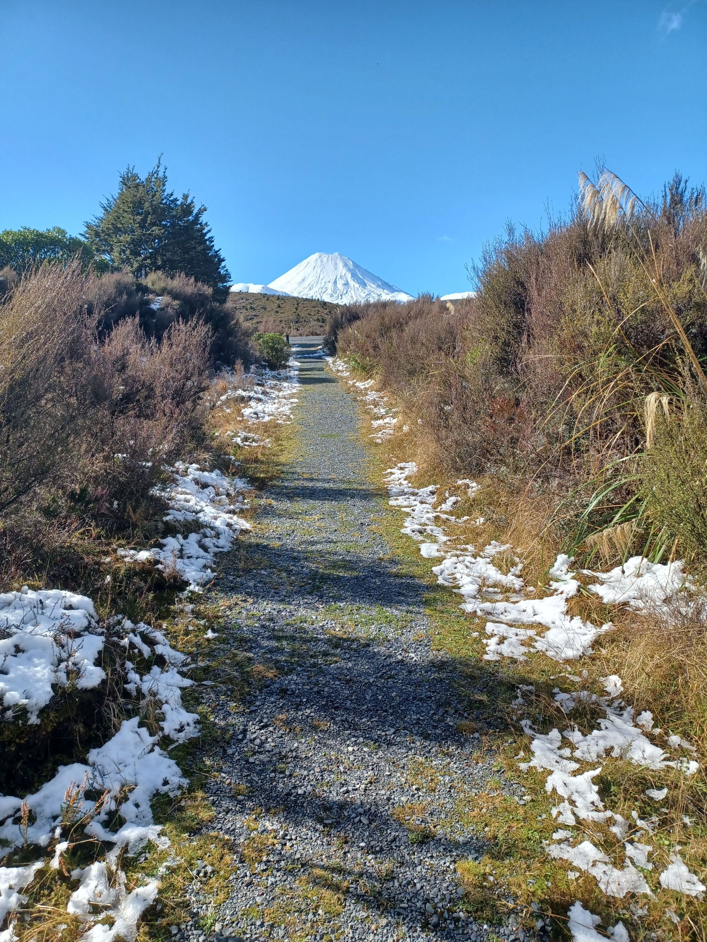 Whakapapanui Track, Manawatu - Wanganui - Trails Photo Gallery - Wild ...