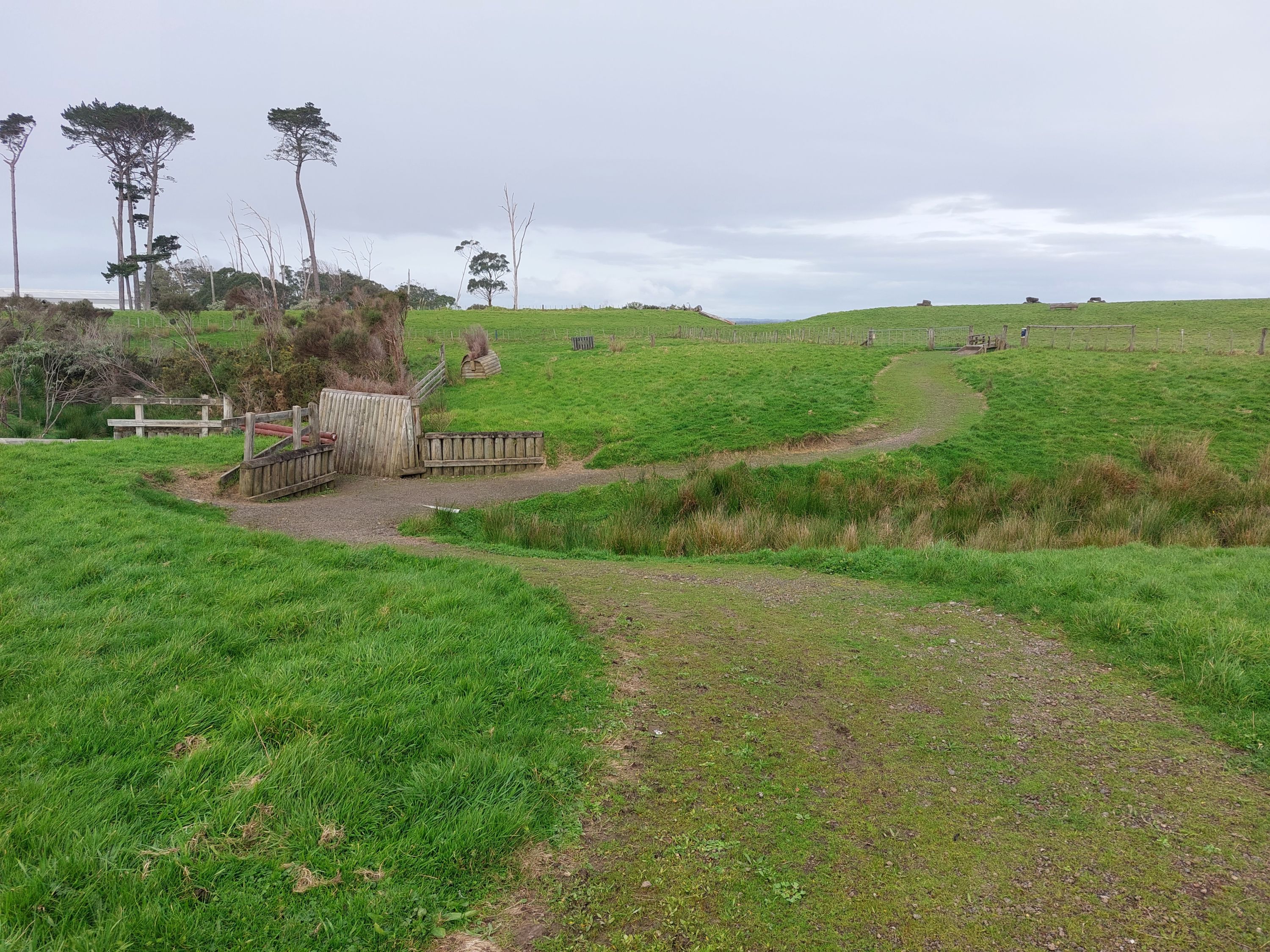 Puhinui - not just for Horses, Auckland - Trails Photo Gallery - Wild ...