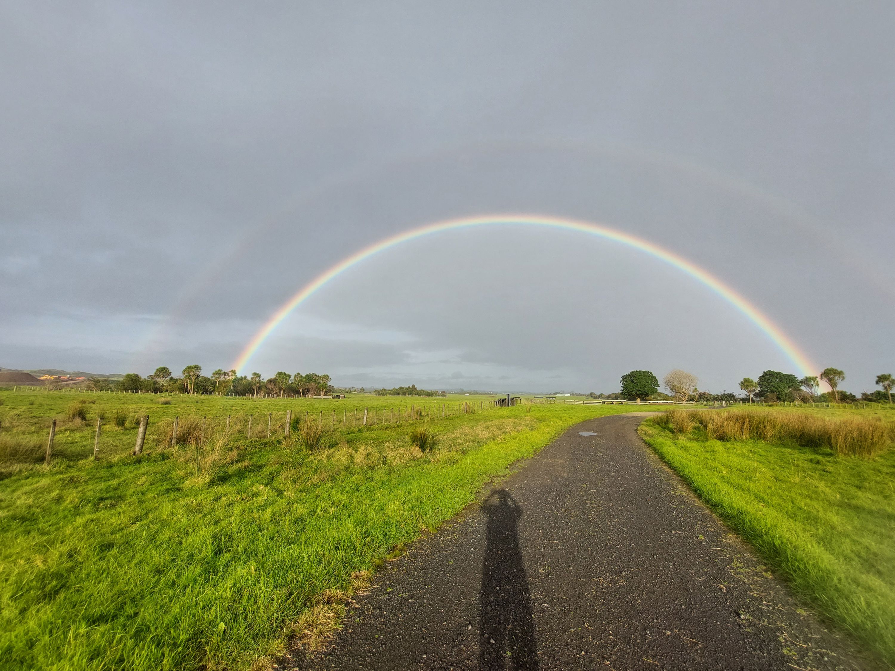 Puhinui - not just for Horses, Auckland - Trails Photo Gallery - Wild ...
