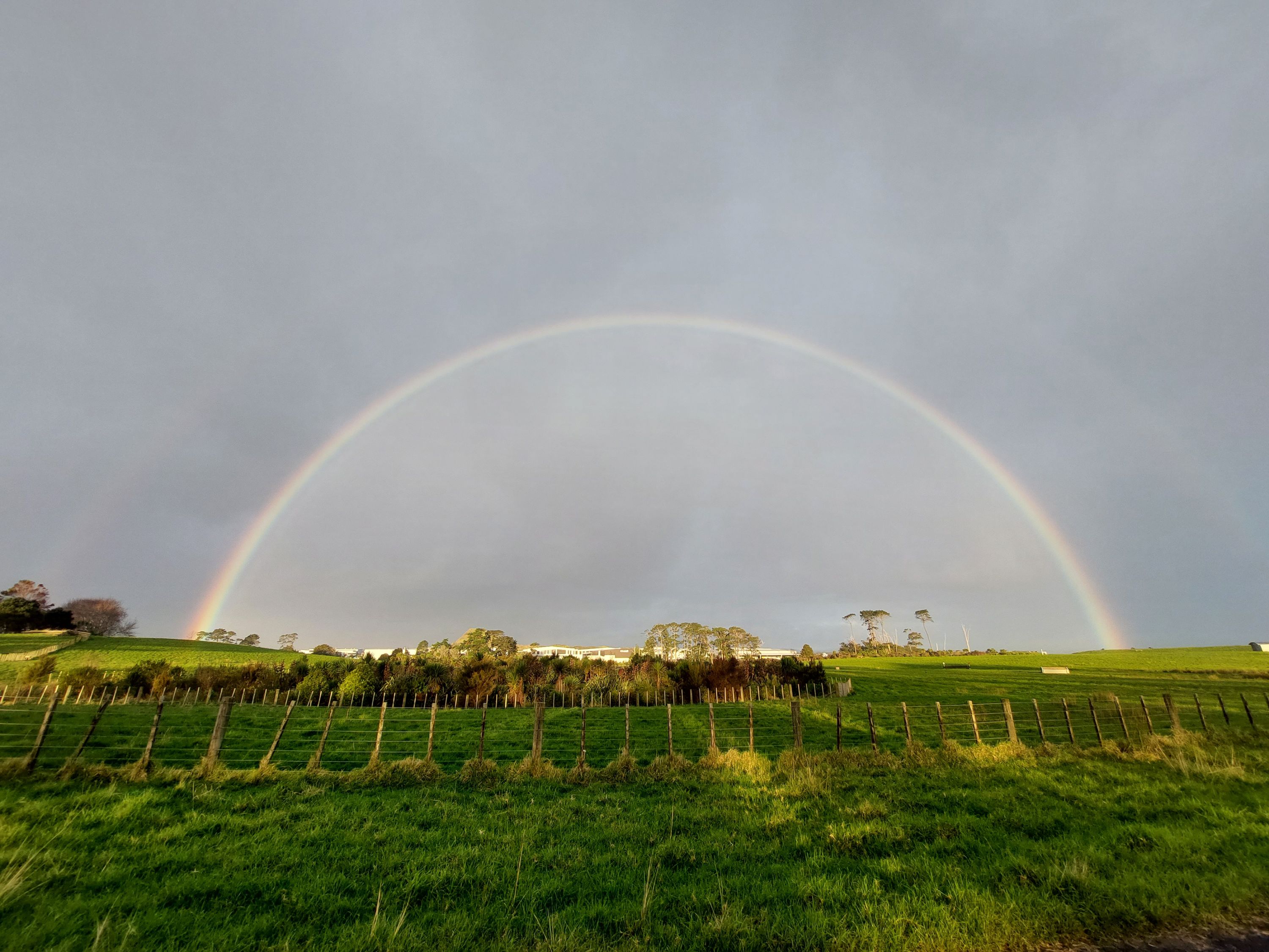Puhinui - not just for Horses, Auckland - Trails Photo Gallery - Wild ...