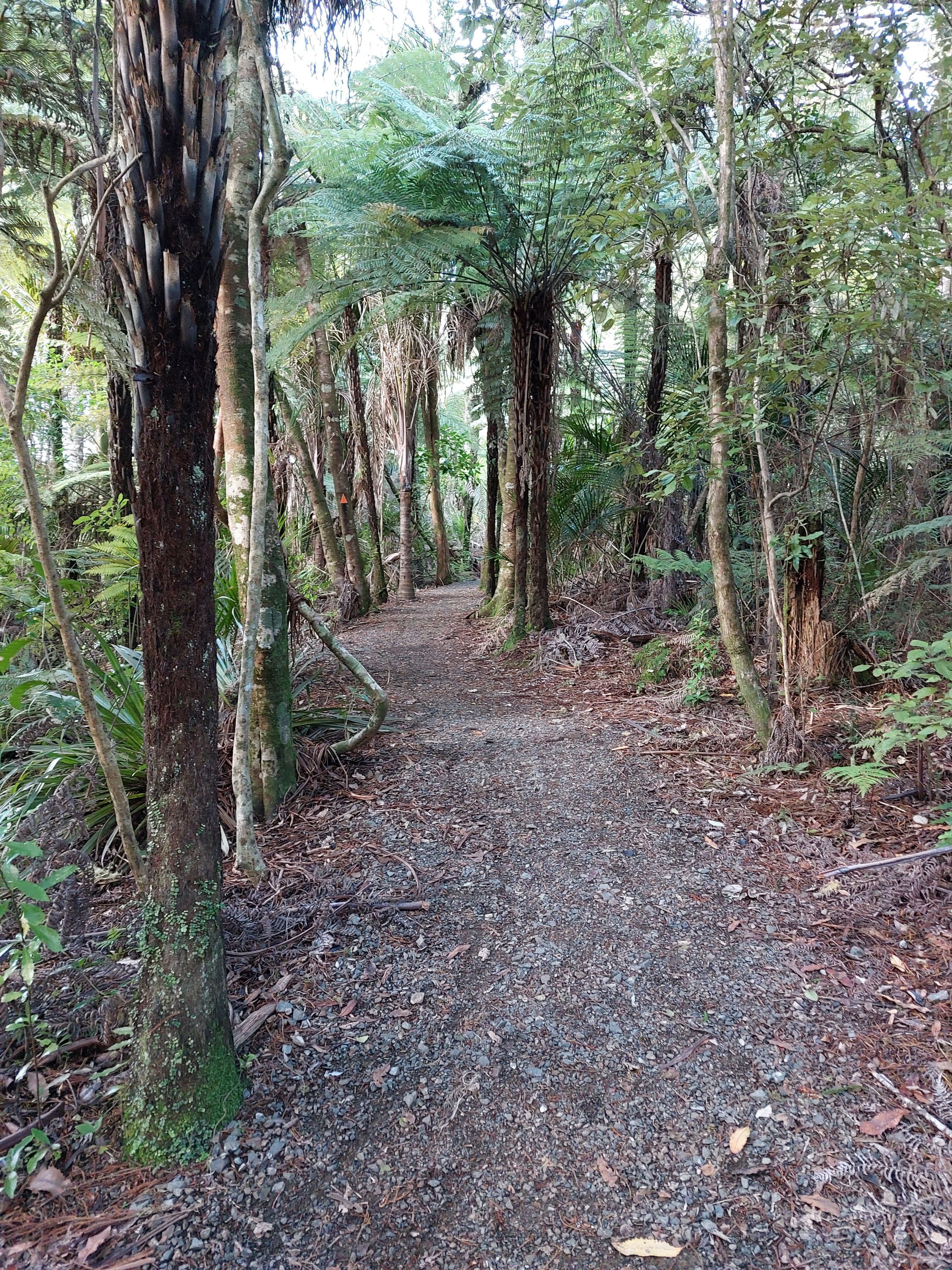 Hunua Falls - Cossey Massey Loop, Auckland - Trails Photo Gallery ...