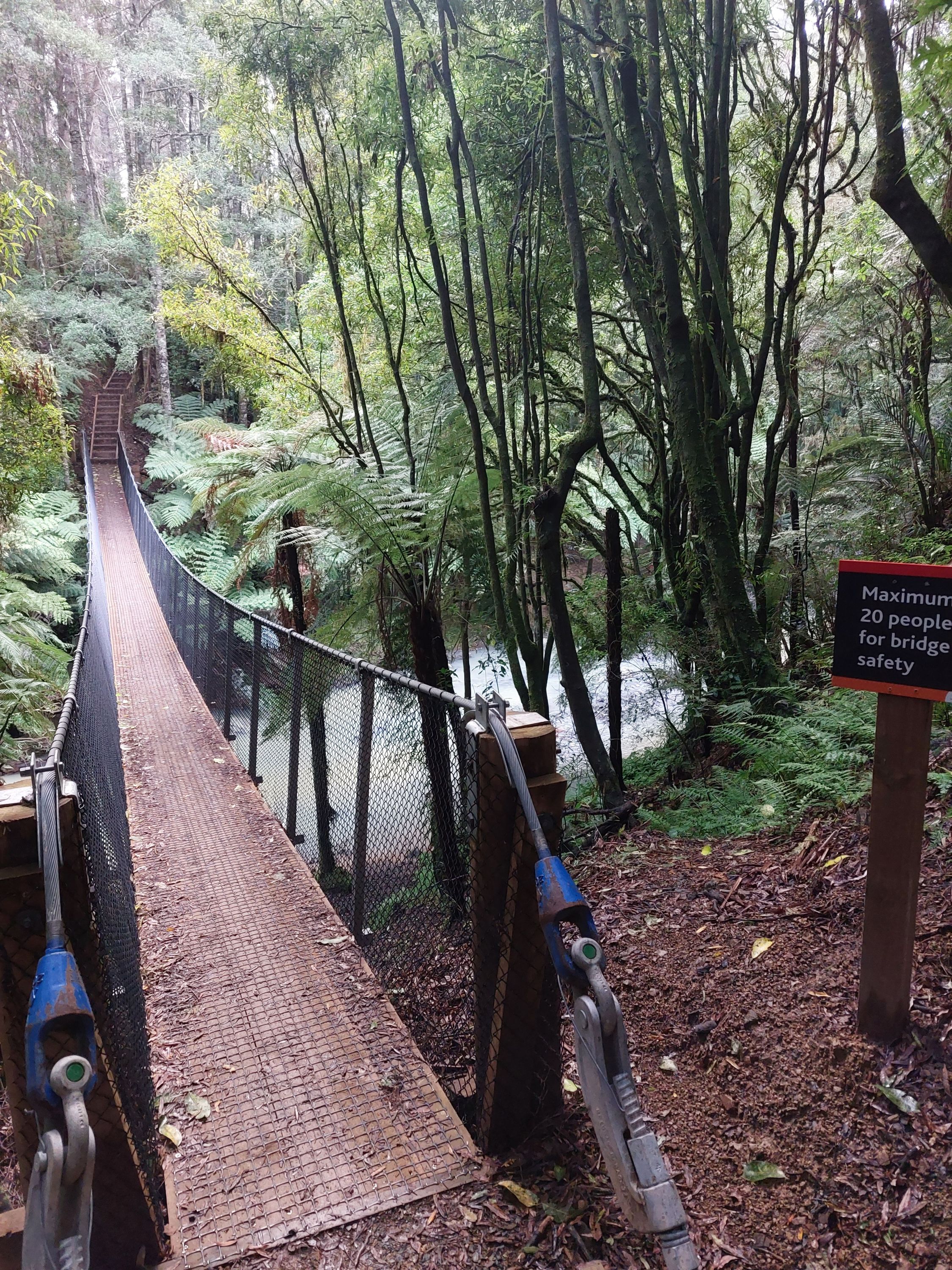 Hunua Falls - Cossey Massey Loop, Auckland - Trails Photo Gallery ...