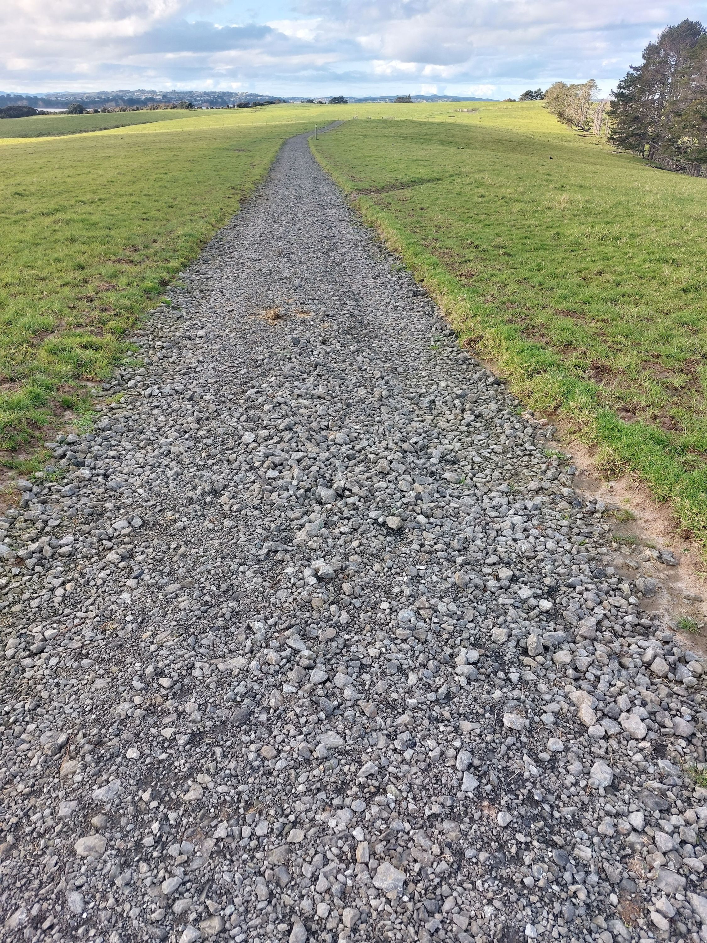Long Bay Beach, Bush & Cliffs, Auckland - Trails Photo Gallery - Wild ...