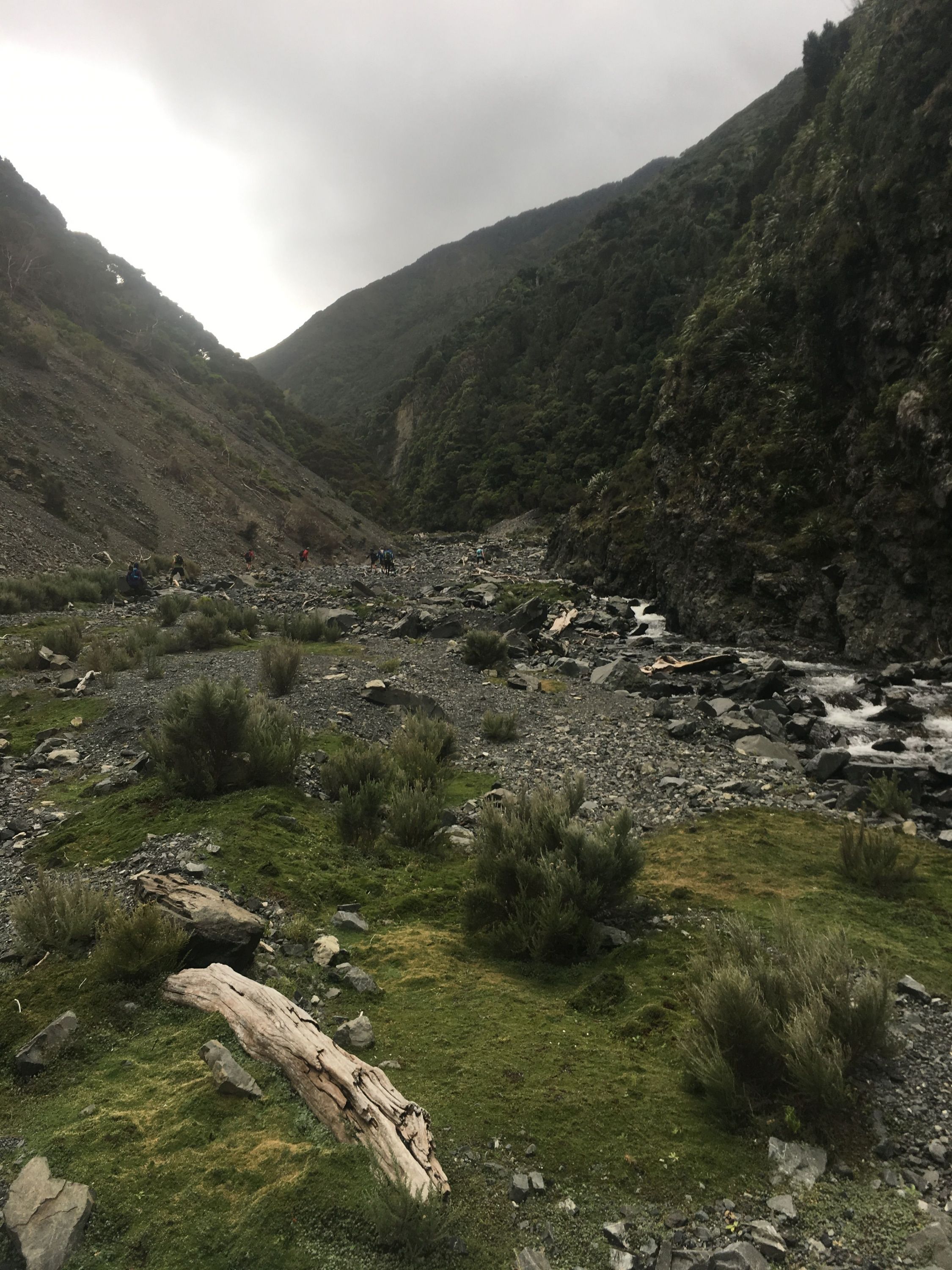 Mukamuka Munter, Wellington - Trails Photo Gallery - Wild Things