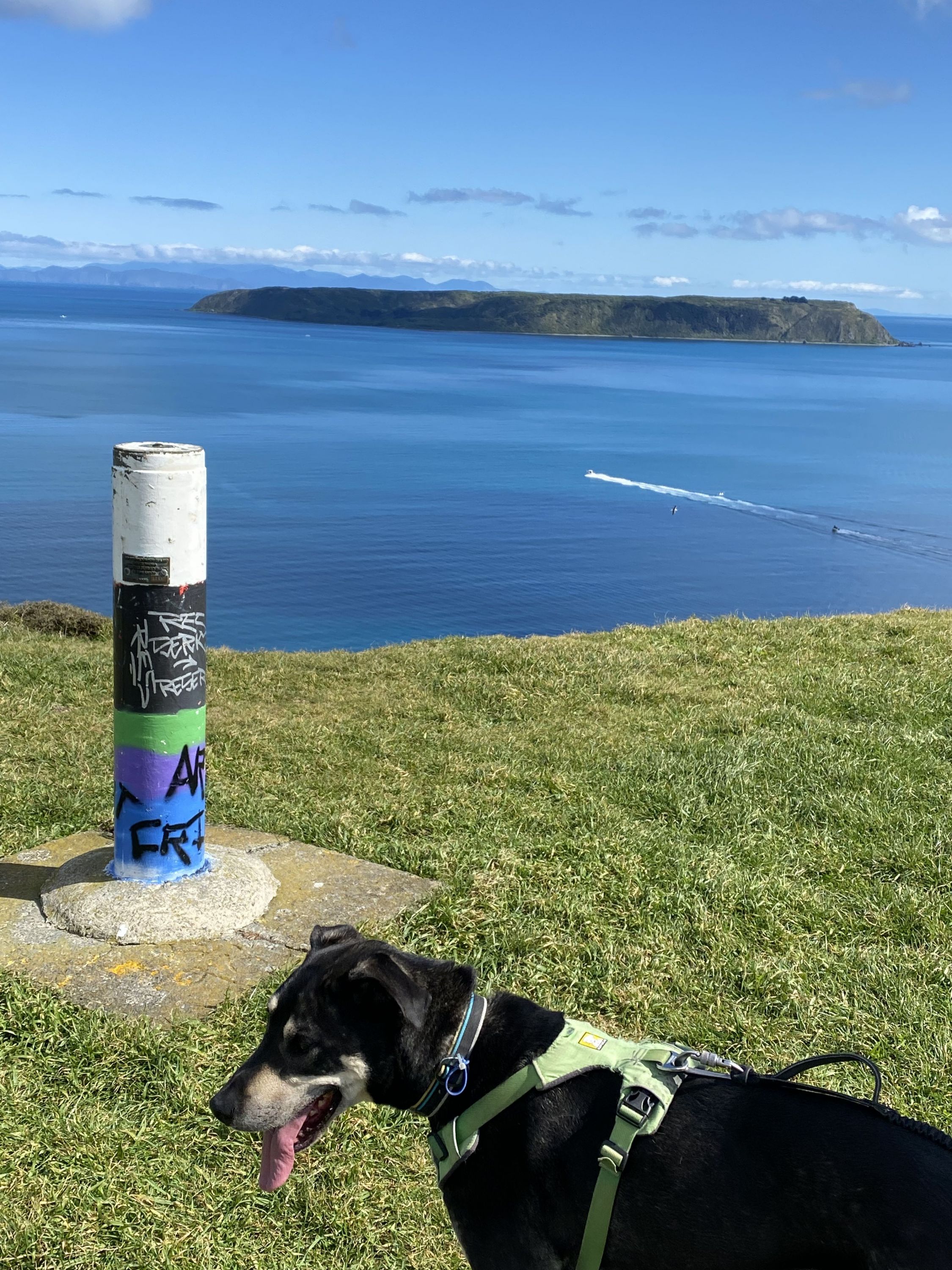 Whitireia and Titahi Bay Cliffs, Wellington - Trails Photo Gallery ...