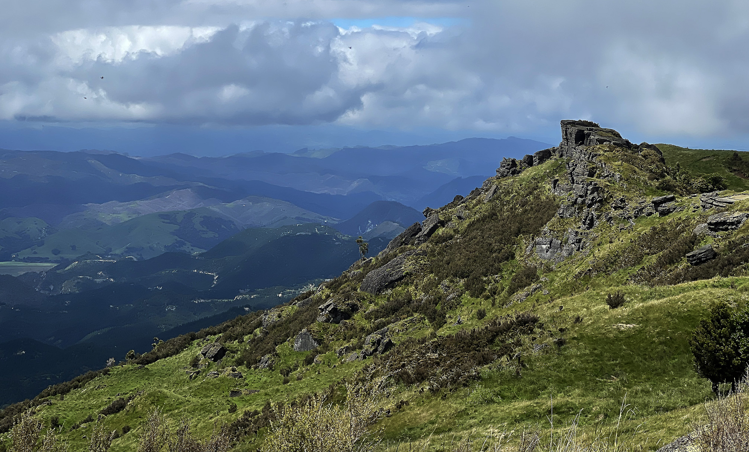 Bell Hill Loop, Hawkes Bay - Trails Photo Gallery - Wild Things