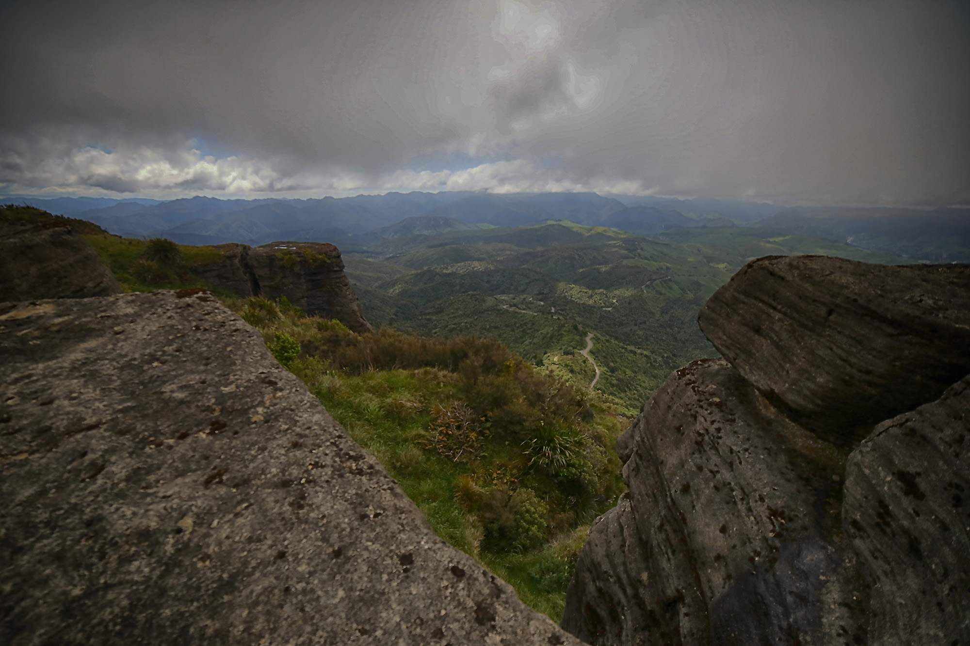Bell Hill Loop, Hawkes Bay - Trails Photo Gallery - Wild Things