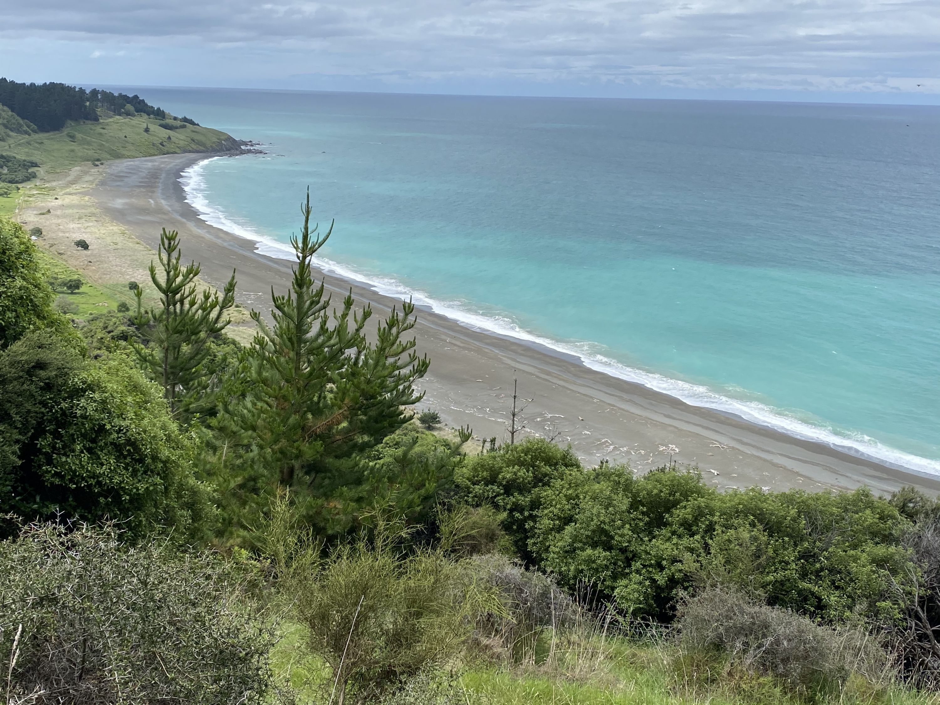 Manuka Bay Track, Canterbury - Trails Photo Gallery - Wild Things