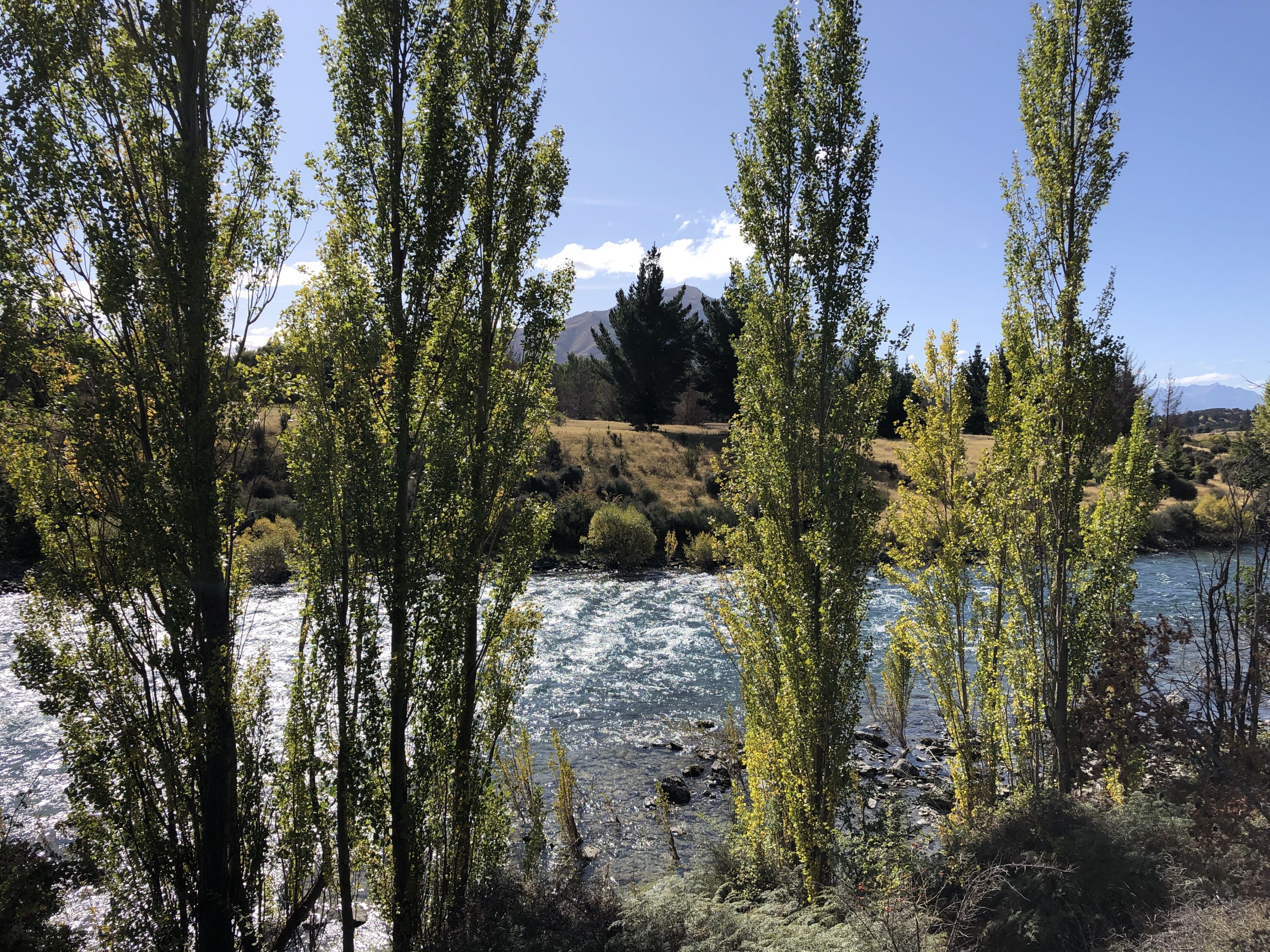 Hawea River Track, Otago - Trails Photo Gallery - Wild Things
