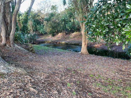 Nga Puke e Rima o Pukekohe, Auckland - Trails Photo Gallery - Wild Things