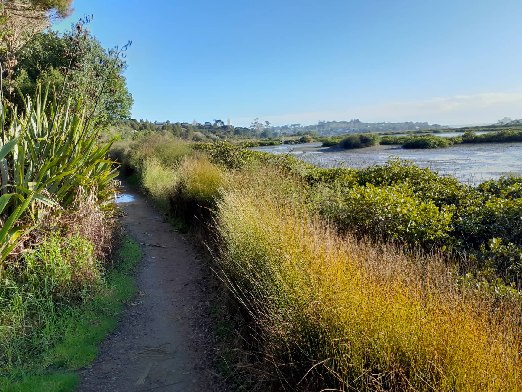 Te Ara ki Uta ki Tai, Auckland - Trails Photo Gallery - Wild Things