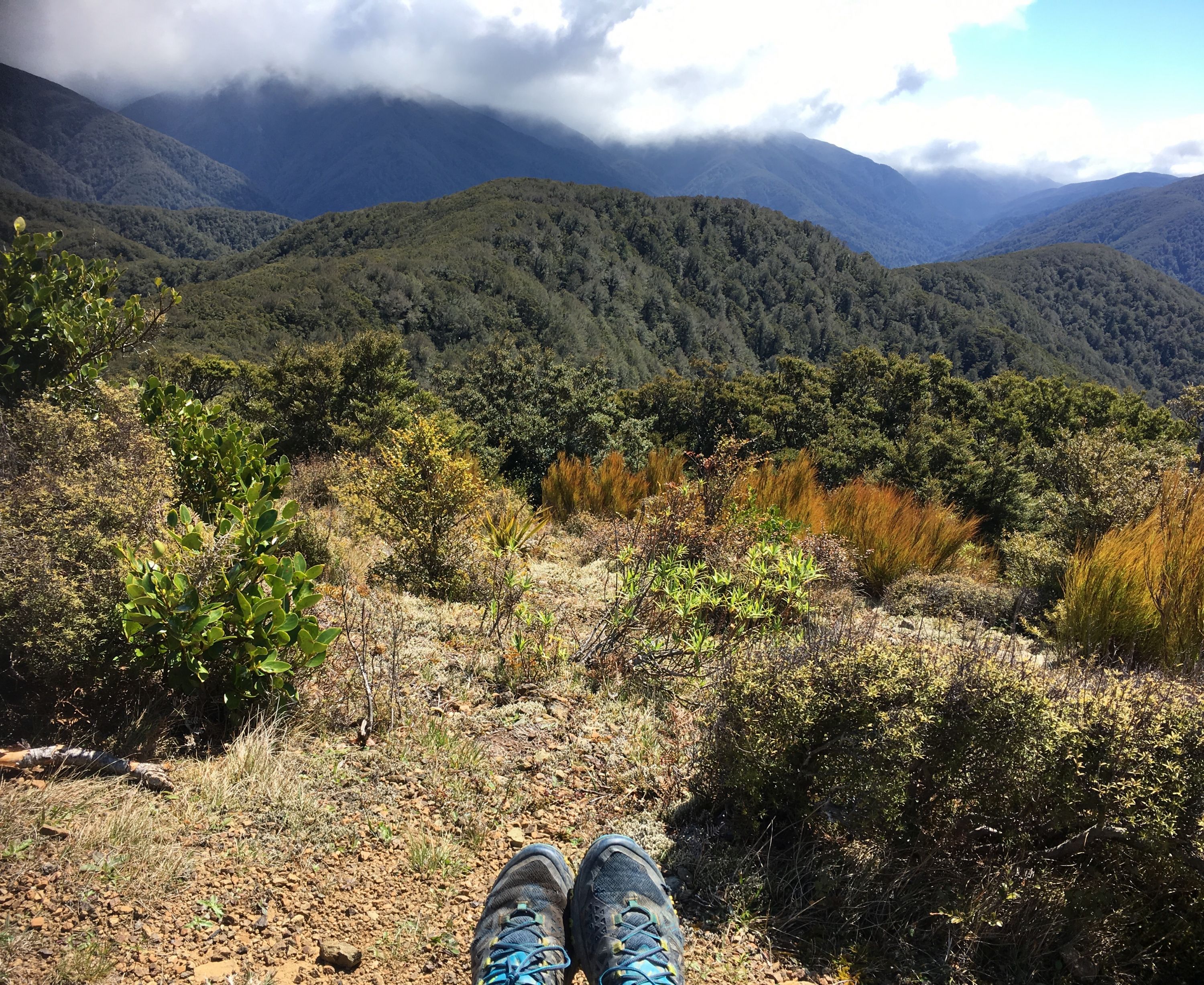 Pinnacle Ridge Plus, Wellington - Trails Photo Gallery - Wild Things