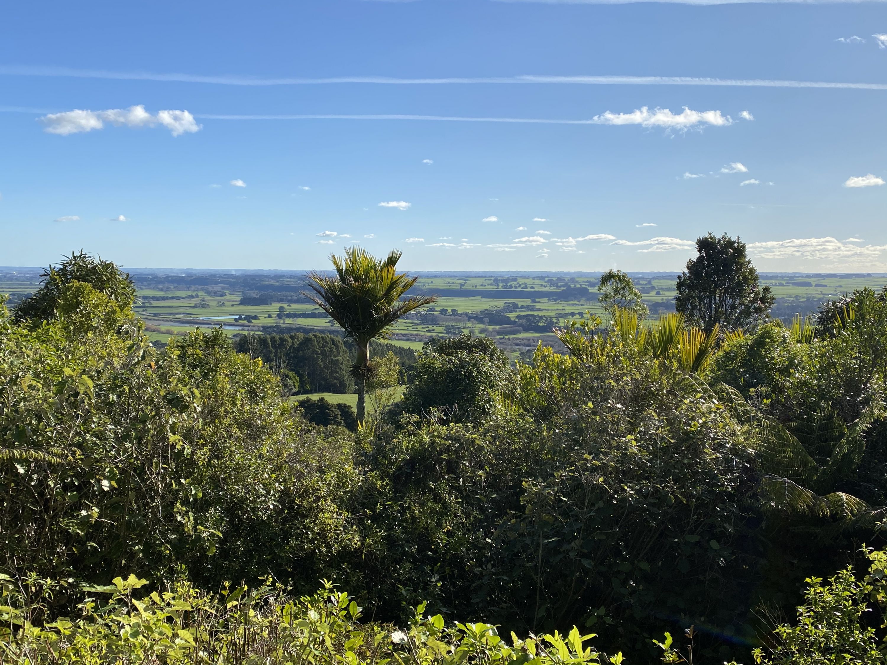 Tawa Loop - Manawatu Gorge, Manawatu - Wanganui - Trails Photo Gallery ...