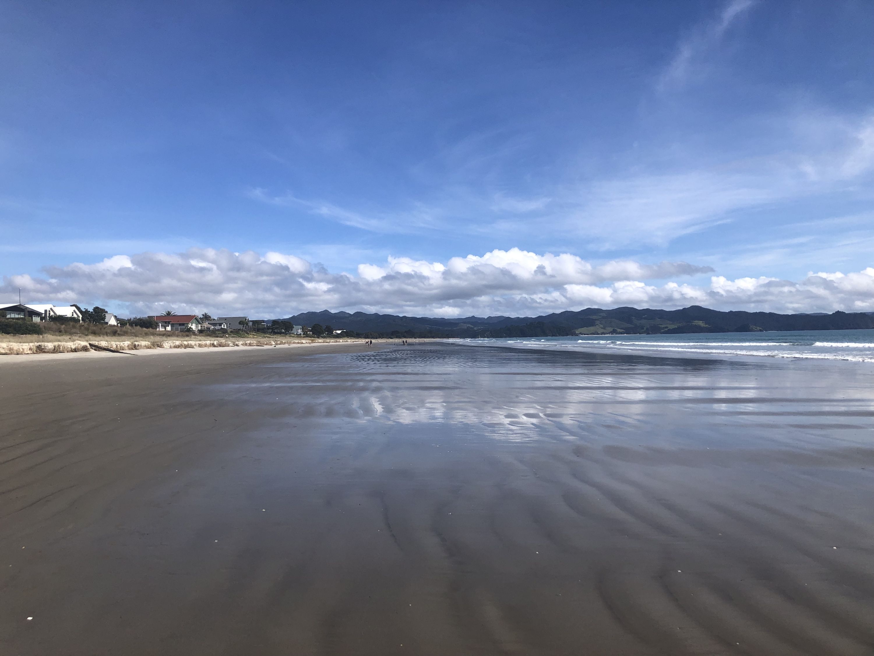 Matarangi & Rings Beach Loops, Waikato - Trails Photo Gallery - Wild Things