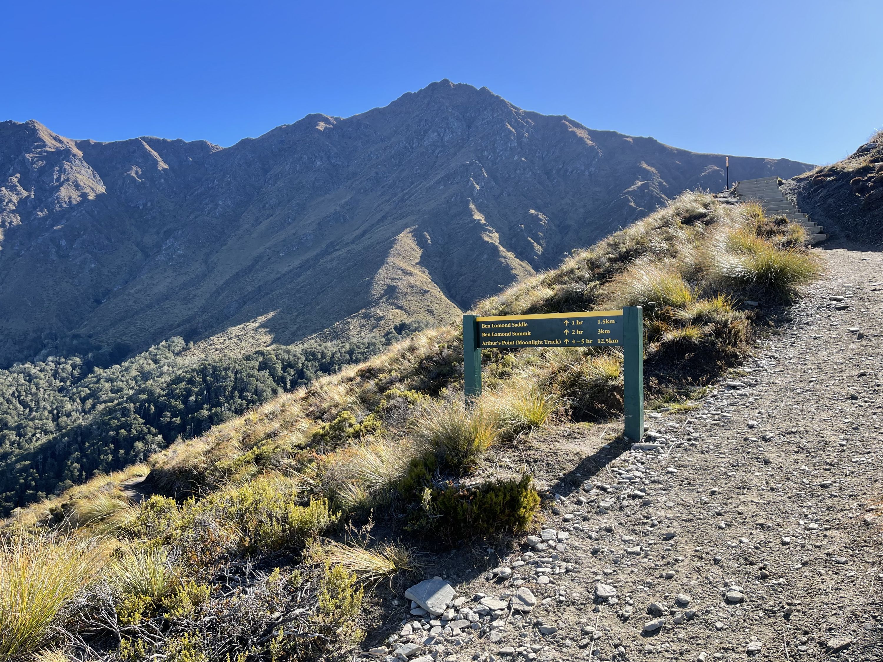Ben Lomond via Tiki Trail, Otago - Trails Photo Gallery - Wild Things