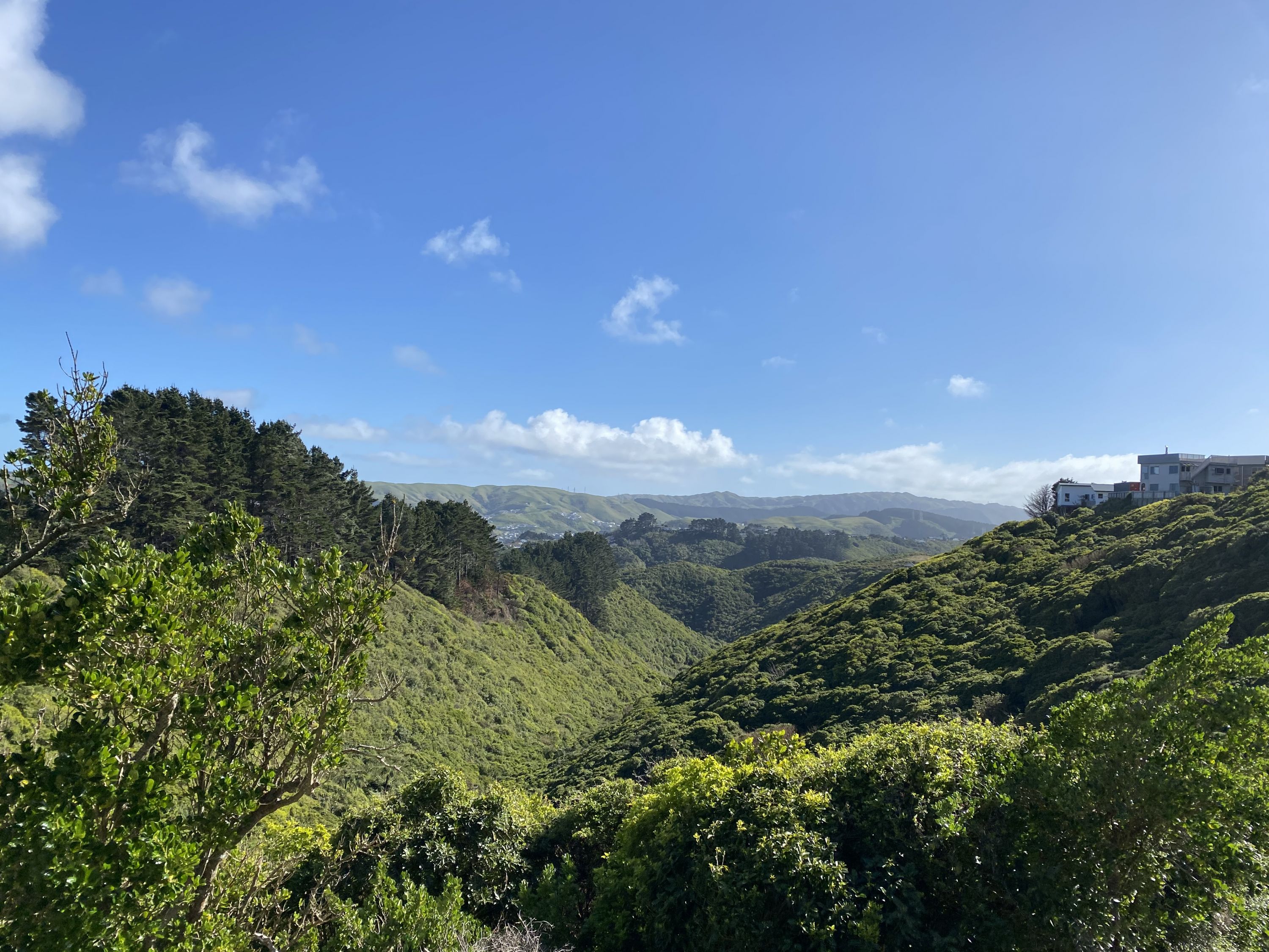 Seton Nossiter Waterfall & Lookout, Wellington - Trails Photo Gallery ...